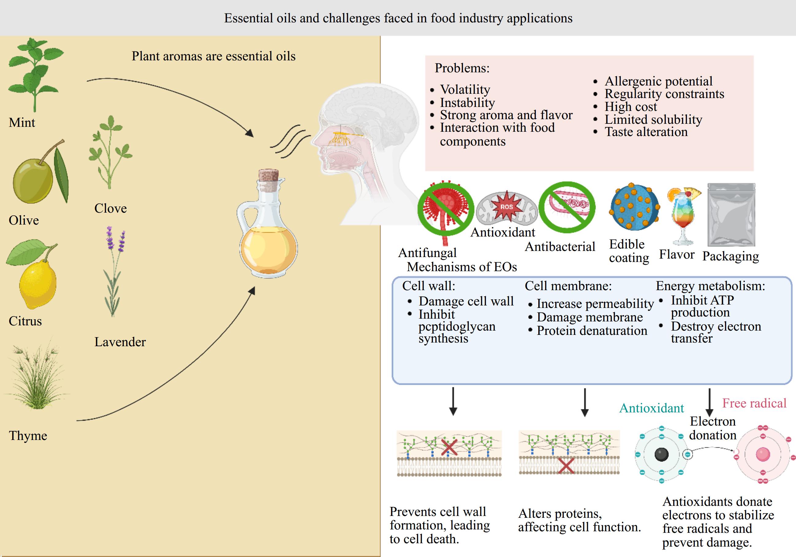 Nanoencapsulation of volatile plant essential oils a paradigm shift in ...