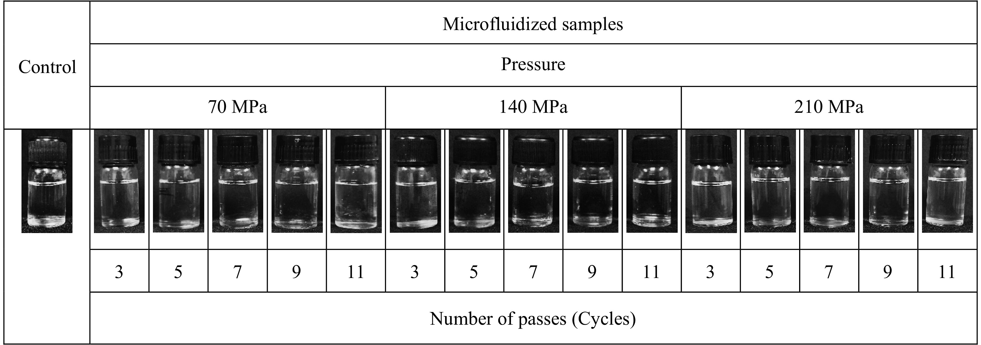 Microfluidization of tender coconut water and its impact on spoilage ...