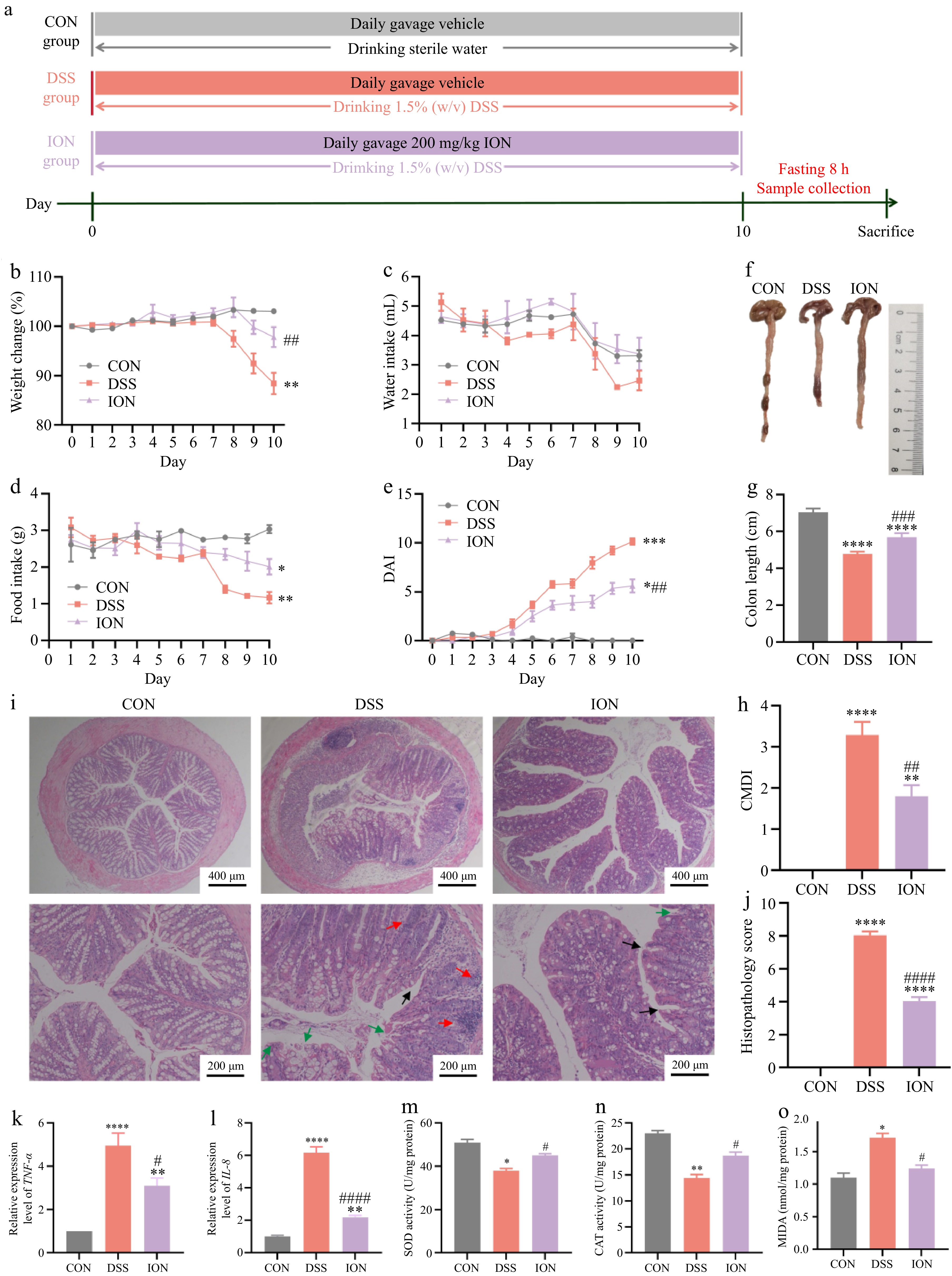β-ionone prevents dextran sulfate sodium-induced ulcerative colitis and ...