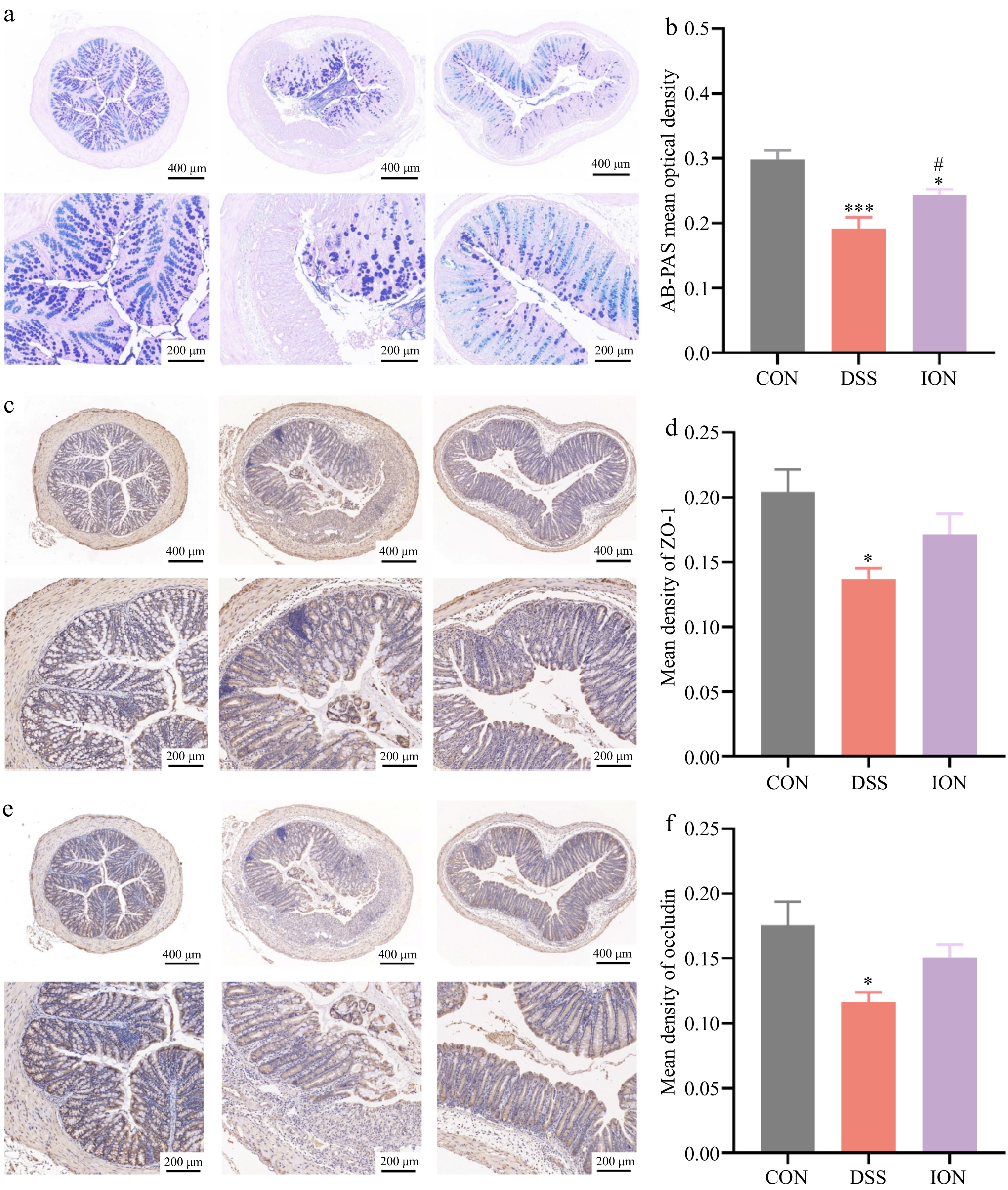 β-ionone prevents dextran sulfate sodium-induced ulcerative colitis and ...