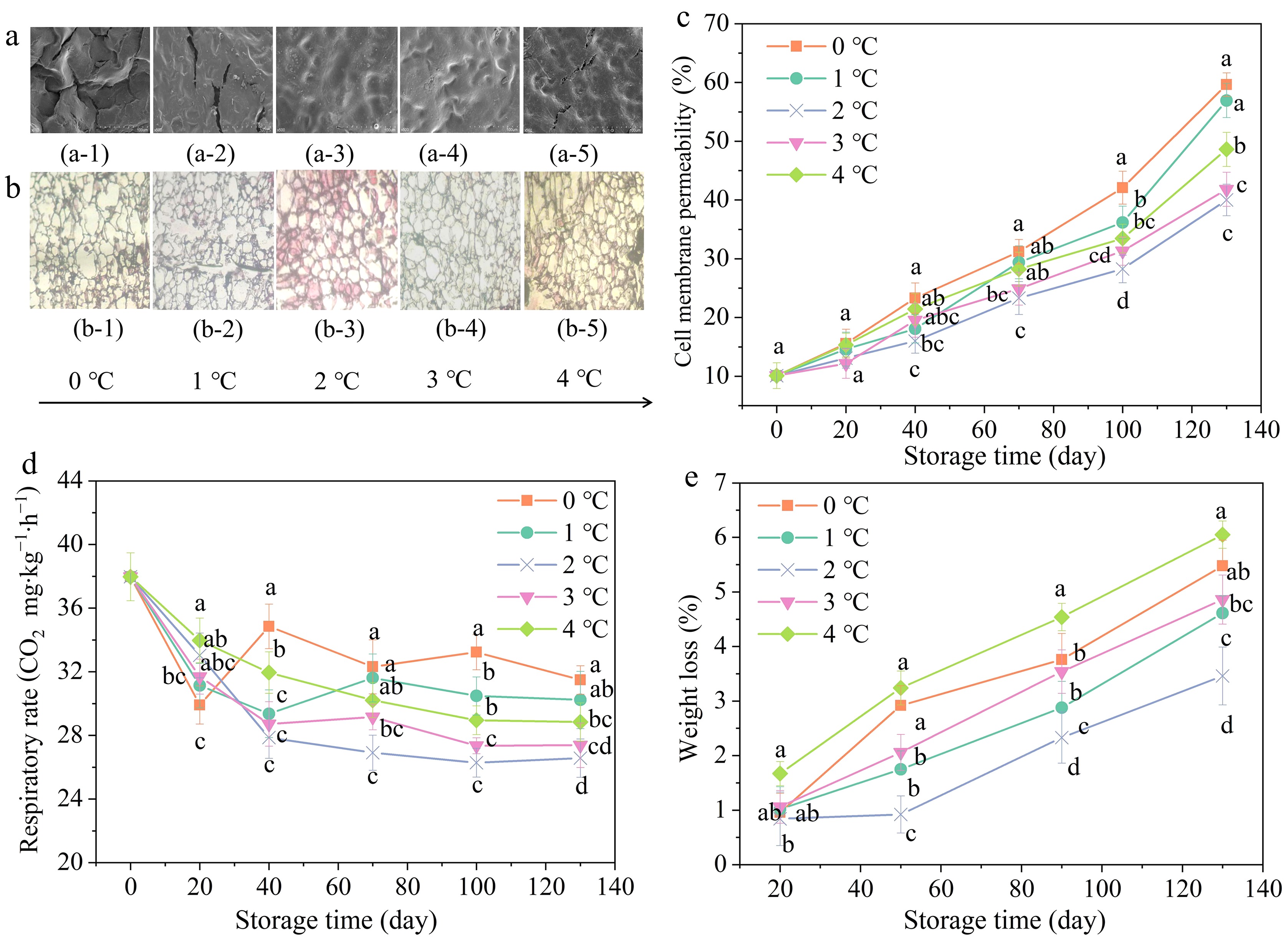 The optimal precise temperature alleviated chilling injury and ...