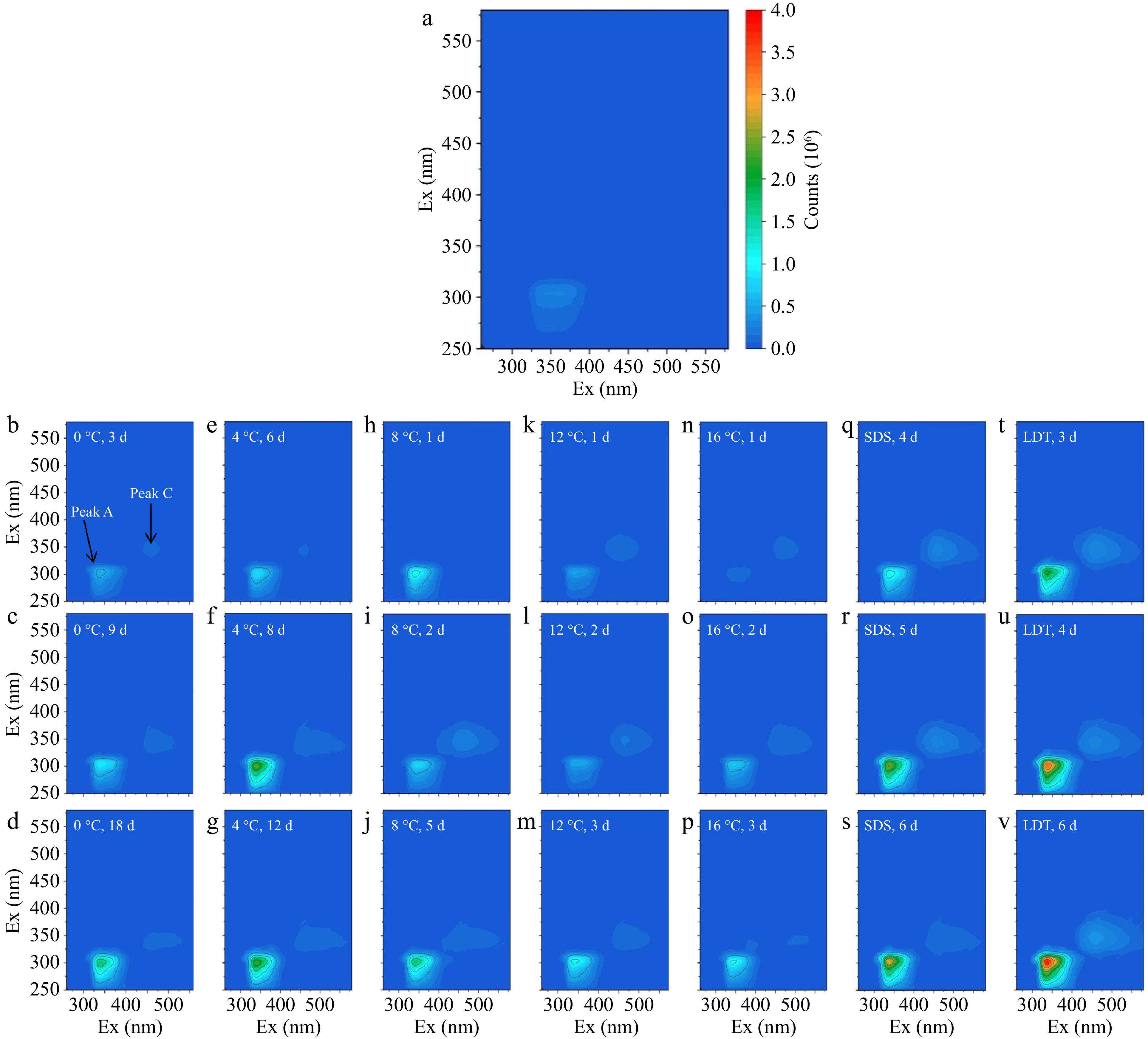 Noninvasive freshness evaluation of bighead carp heads based on ...