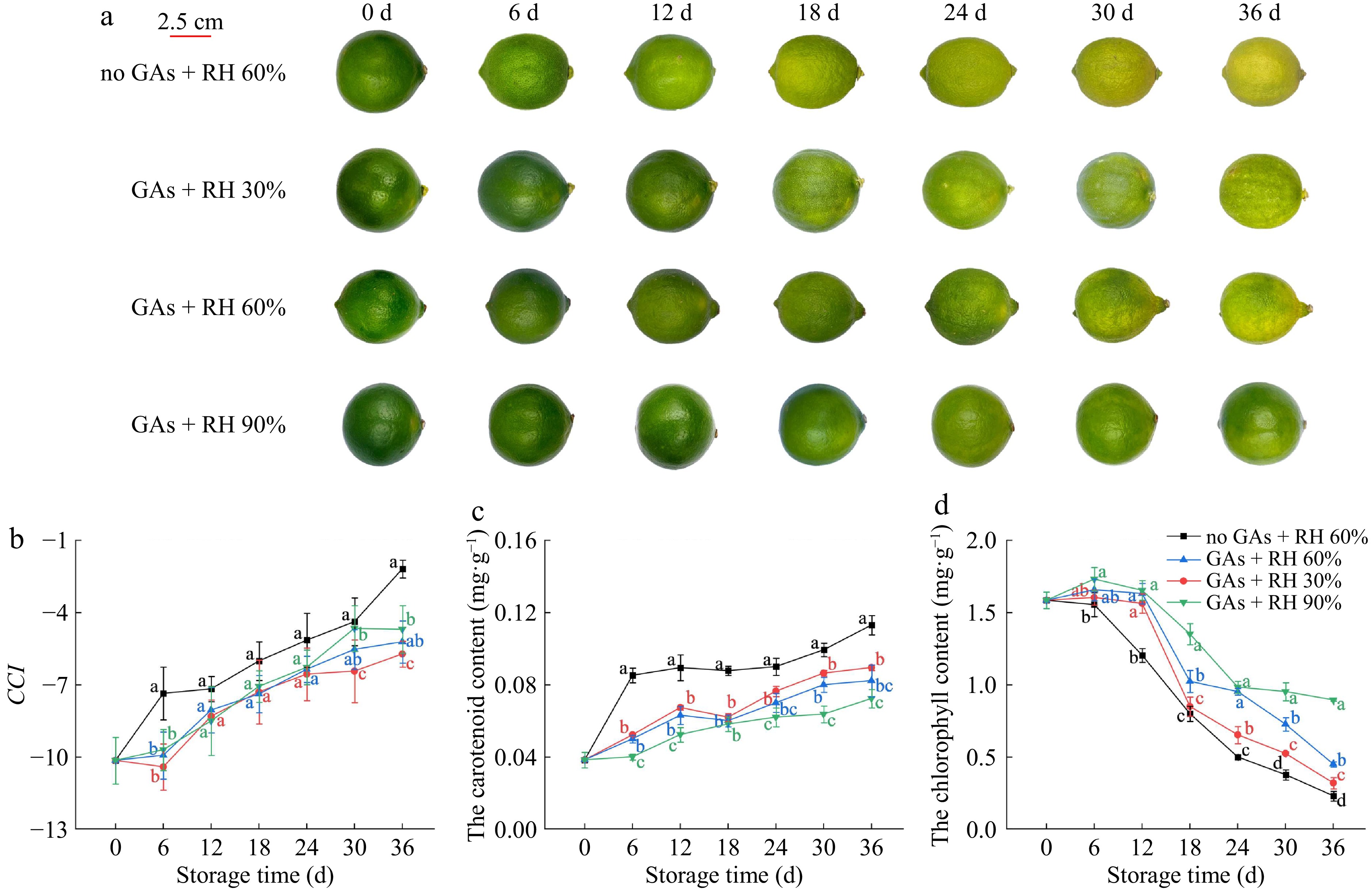 Gibberellins pre-treatment and storage at high relative humidity ...