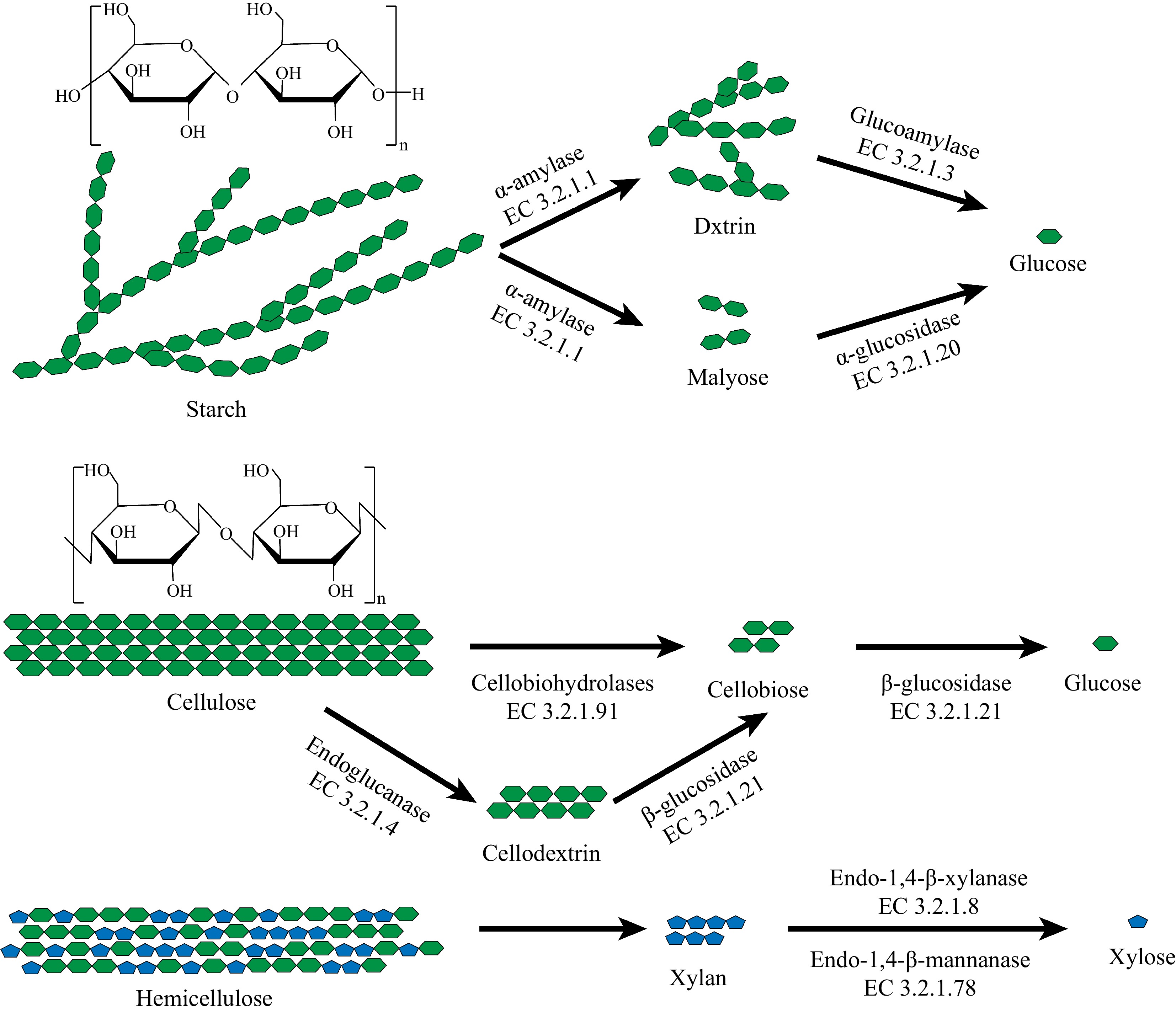 Microbial enzymes the bridge between Daqu flavor and microbial communities