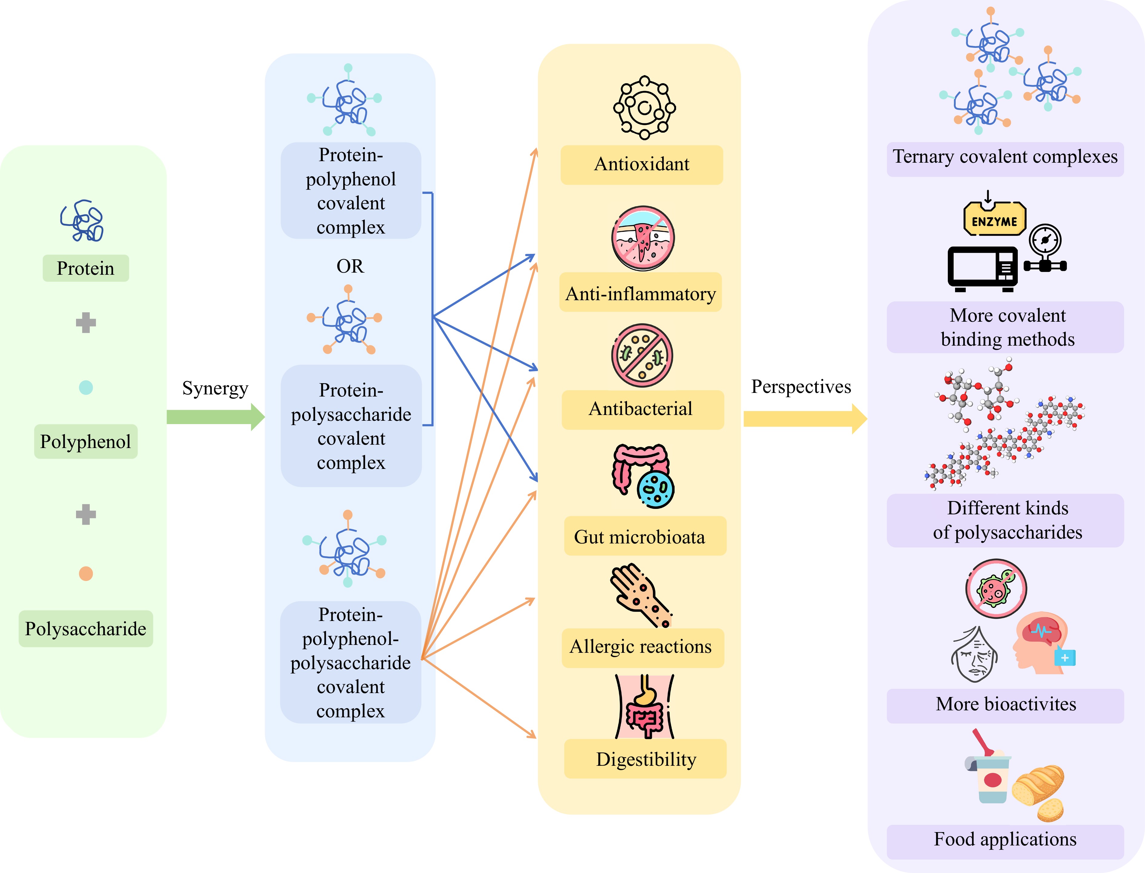 Buckwheat protein covalent complexes formation, biological activities ...