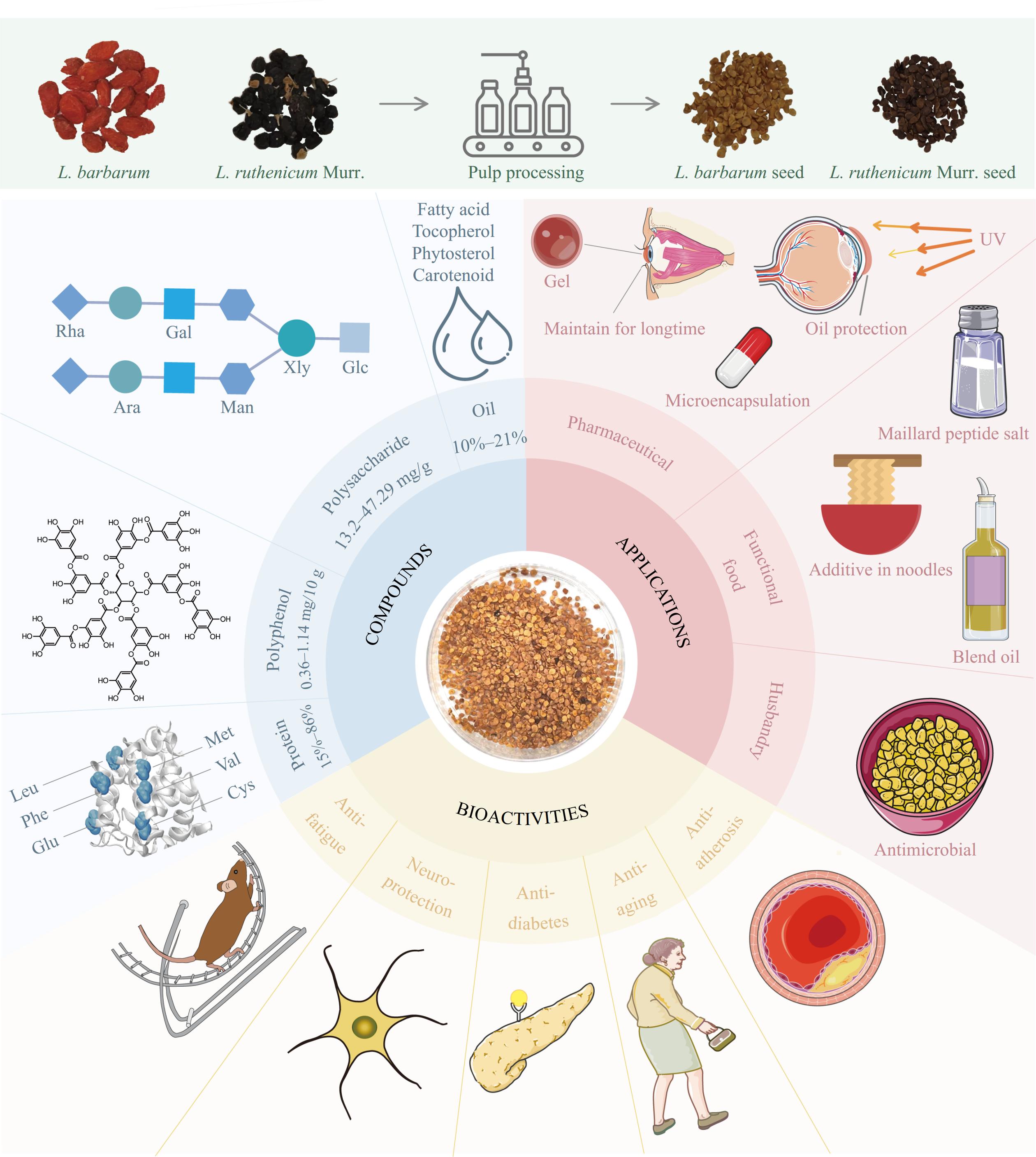 A comprehensive review on bioactive compounds from Lycium seeds extraction, characterization ...