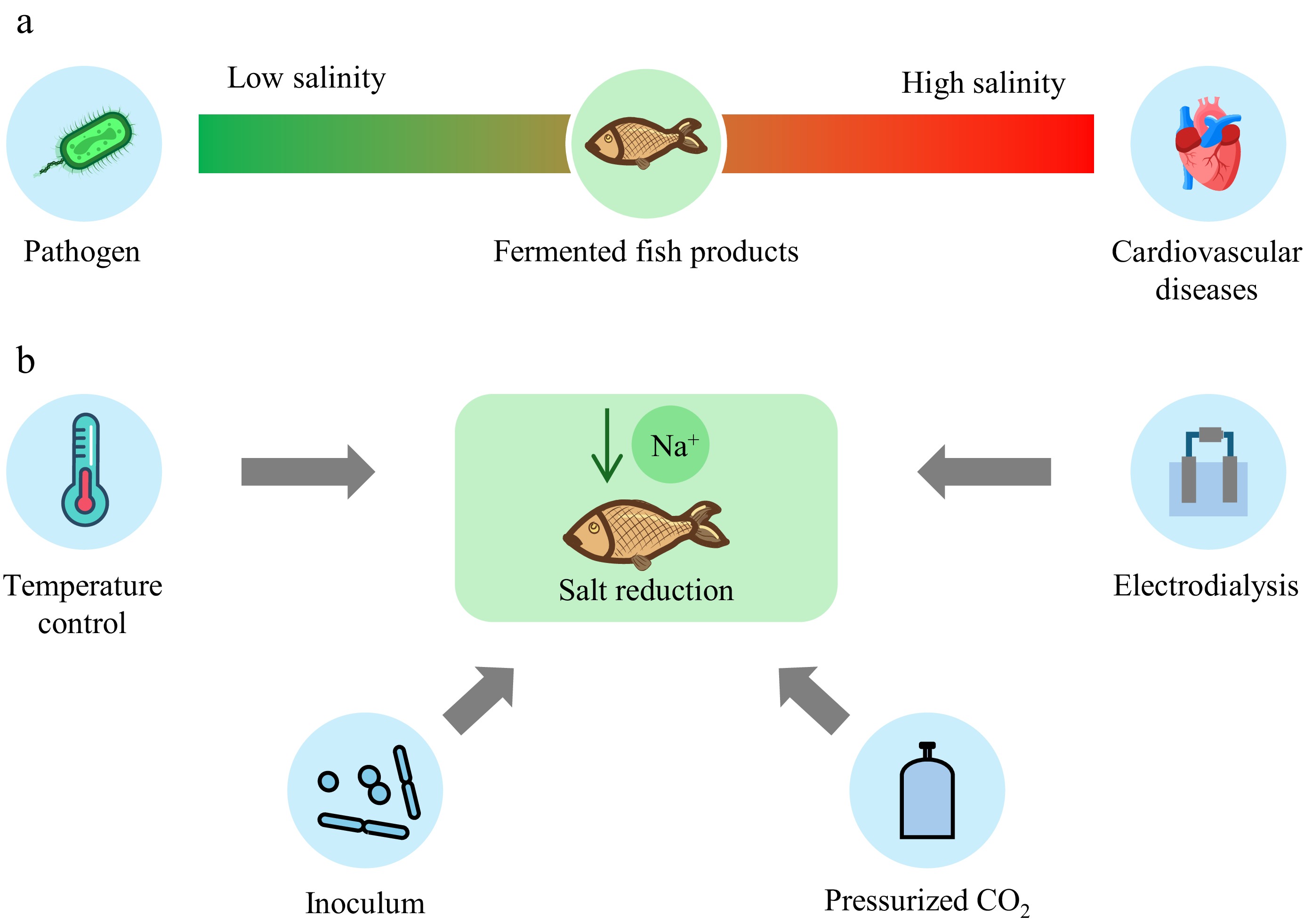 Advancing safer and healthier fermented fish products through ...