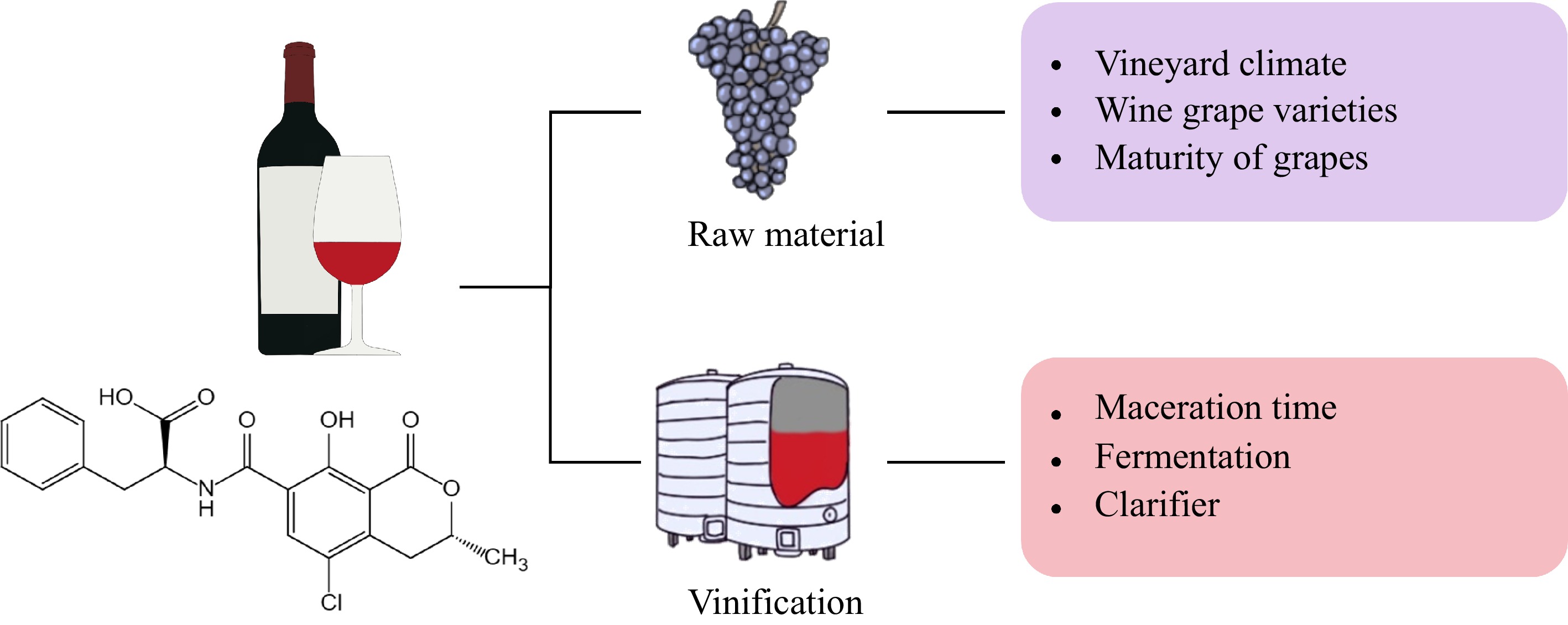 Formation, change, and control of Ochratoxin A in wine