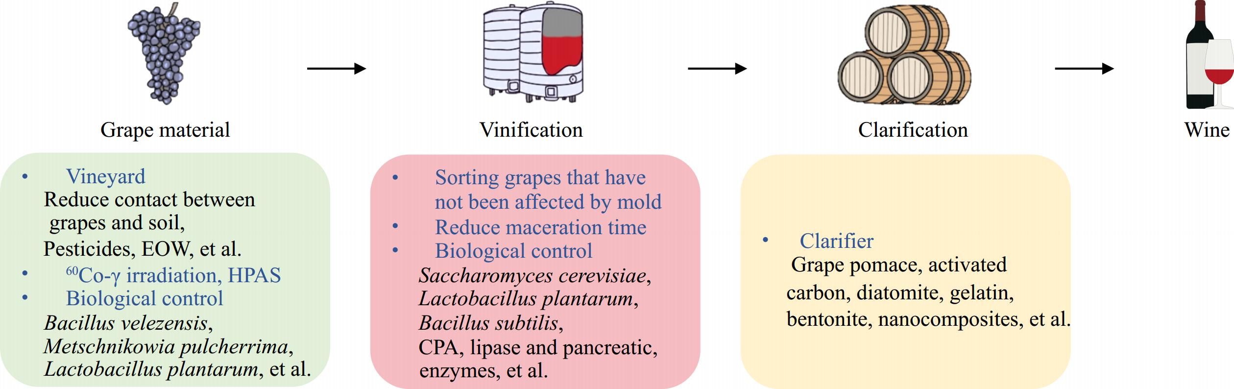 Formation, change, and control of Ochratoxin A in wine