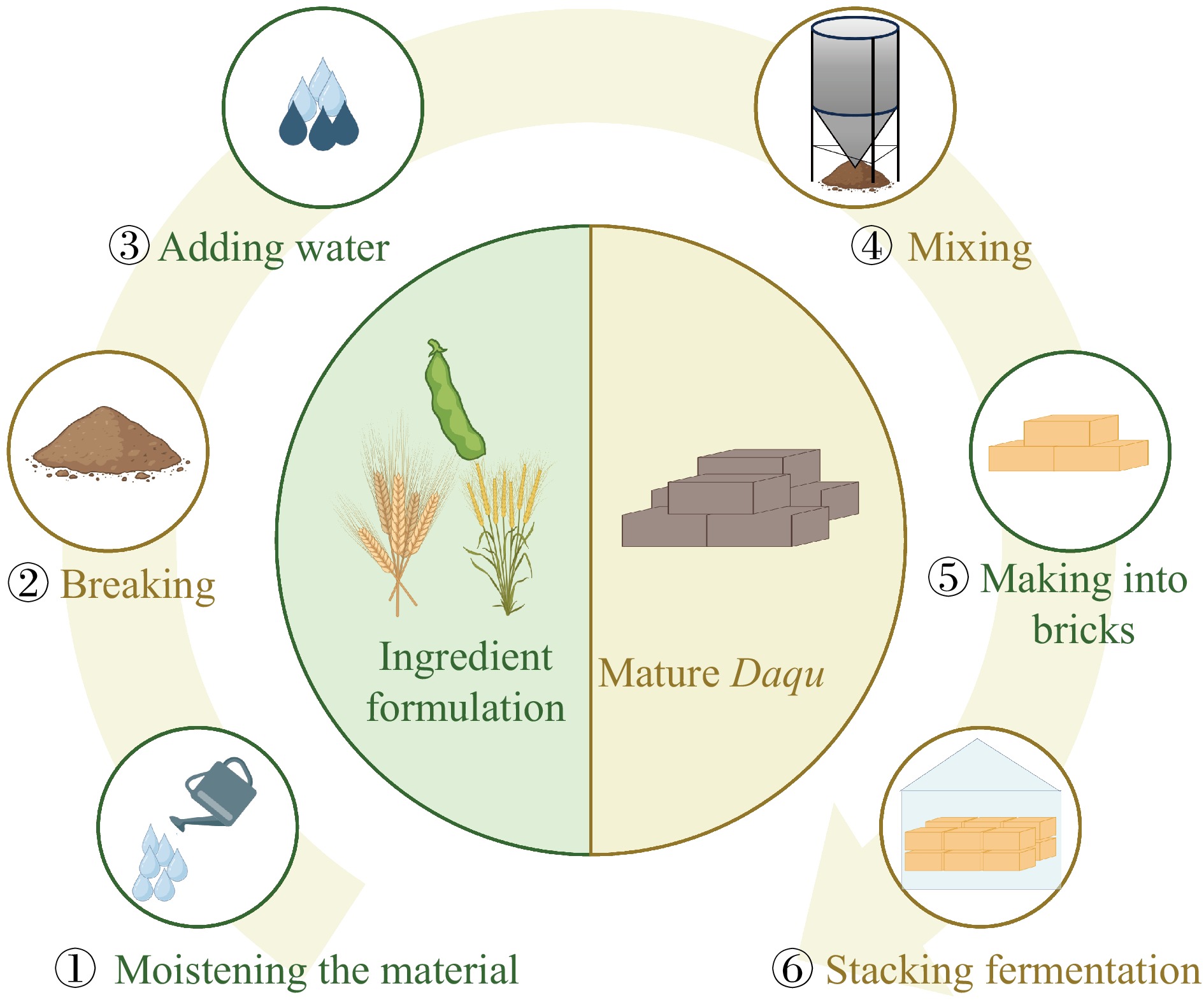 Microbial enzymes: the bridge between Daqu flavor and microbial communities