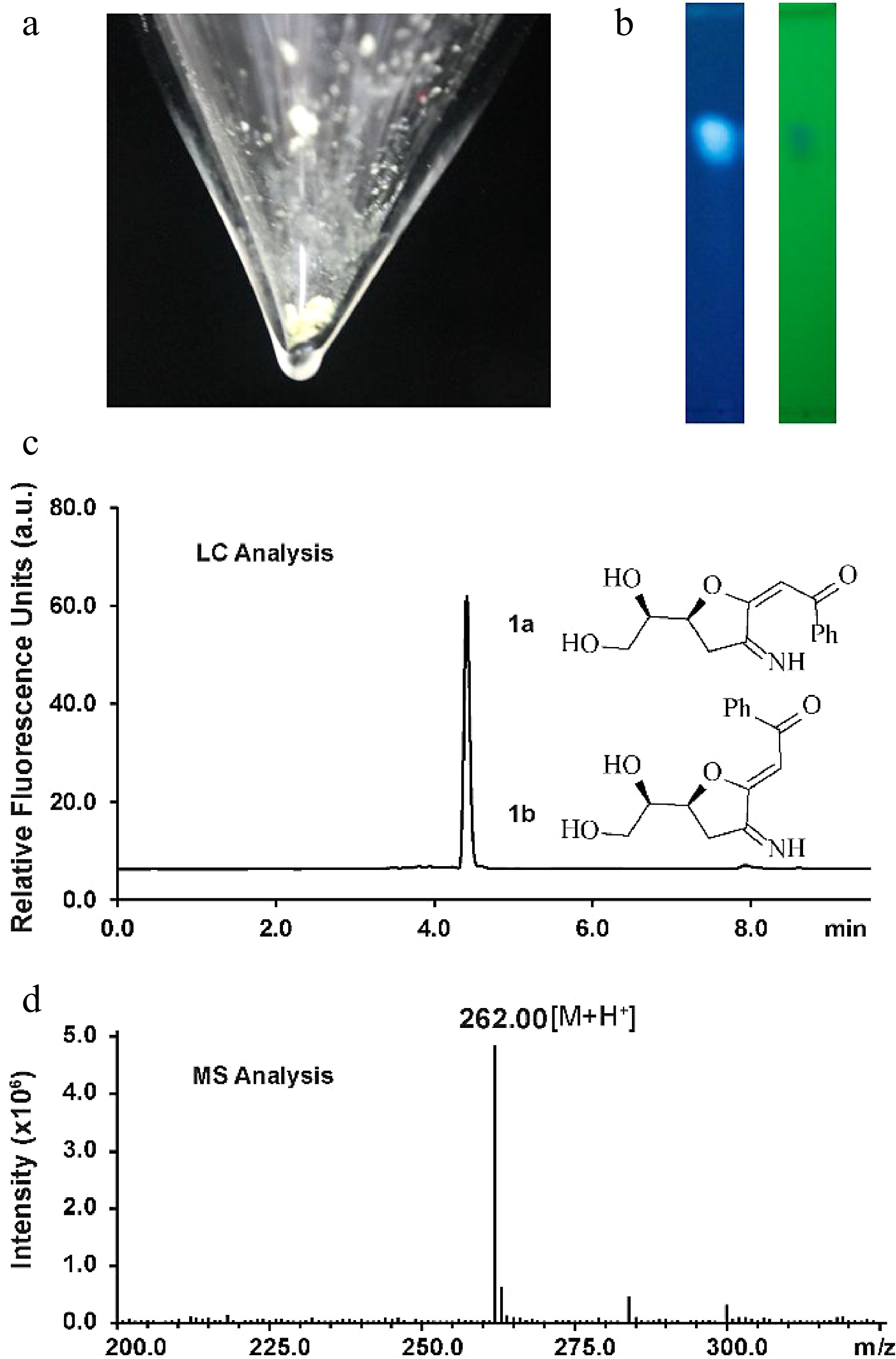 Novel chemical- and protein-mediated methods for glucosamine detection