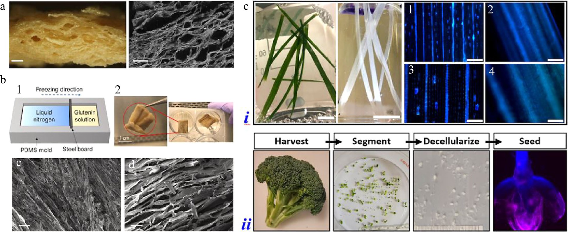Cutting-edge tissue engineering strategies for cultured meat
