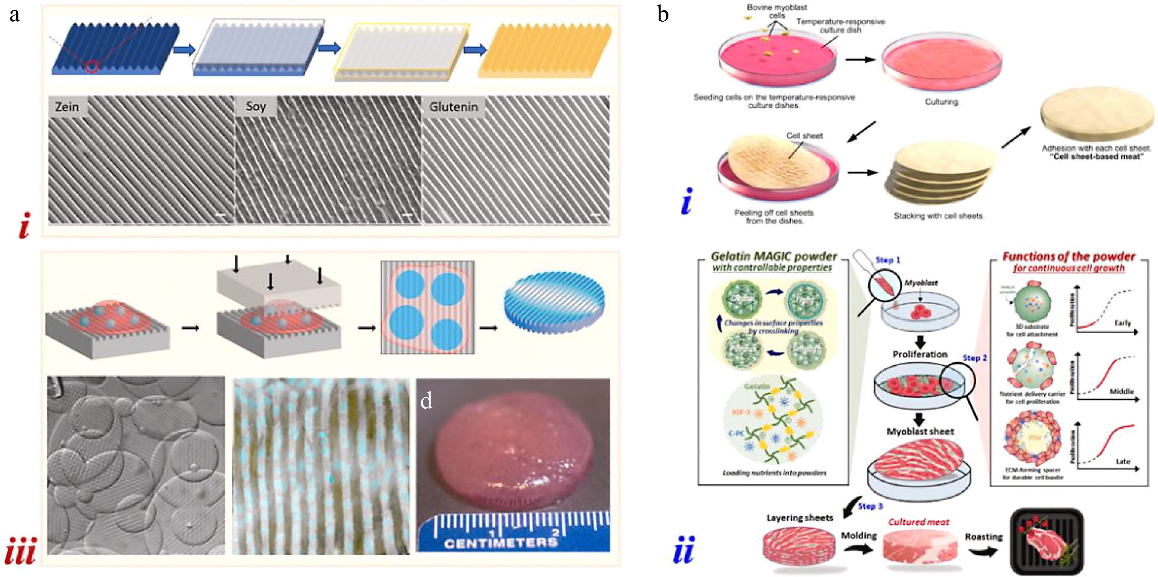 Cutting-edge tissue engineering strategies for cultured meat
