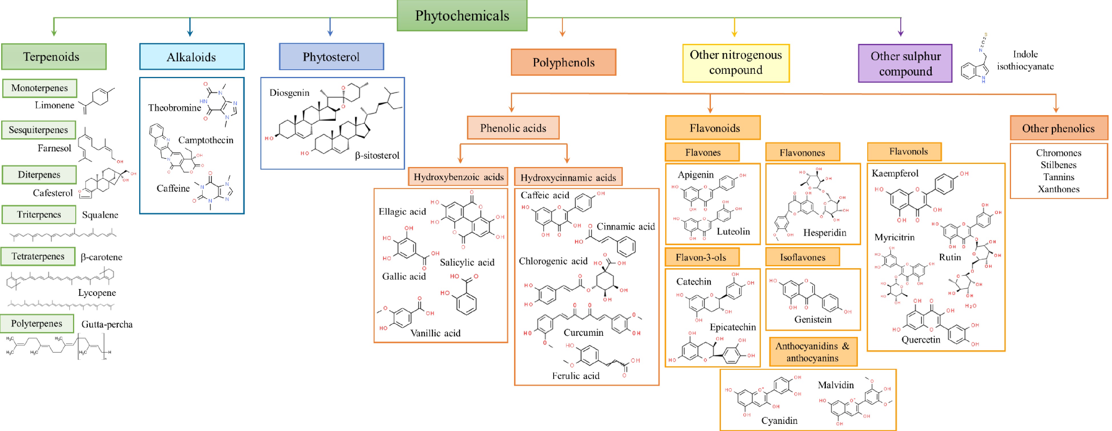 Phytochemicals as natural additives for quality preservation and ...