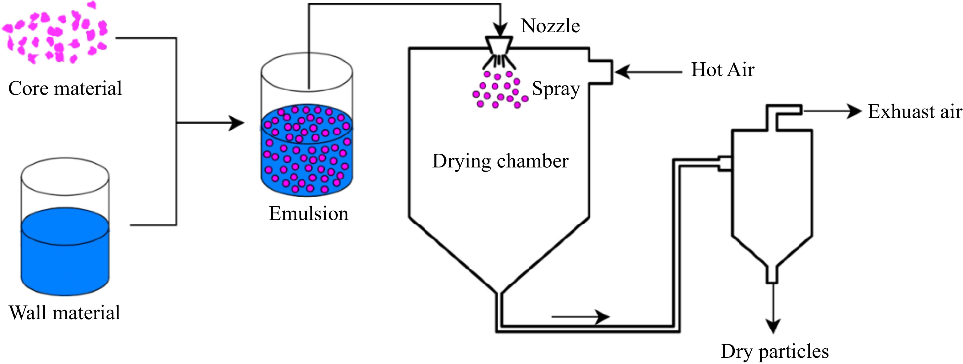 Microencapsulation to improve the stability of natural pigments and ...