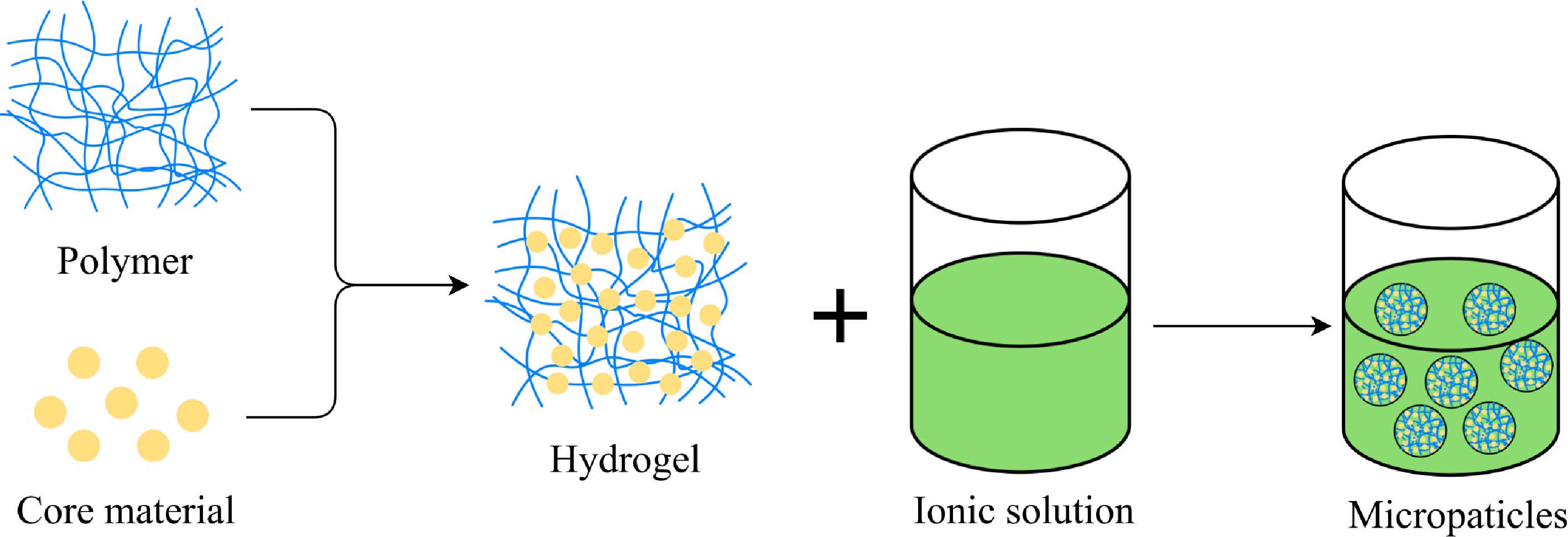 Microencapsulation to improve the stability of natural pigments and ...