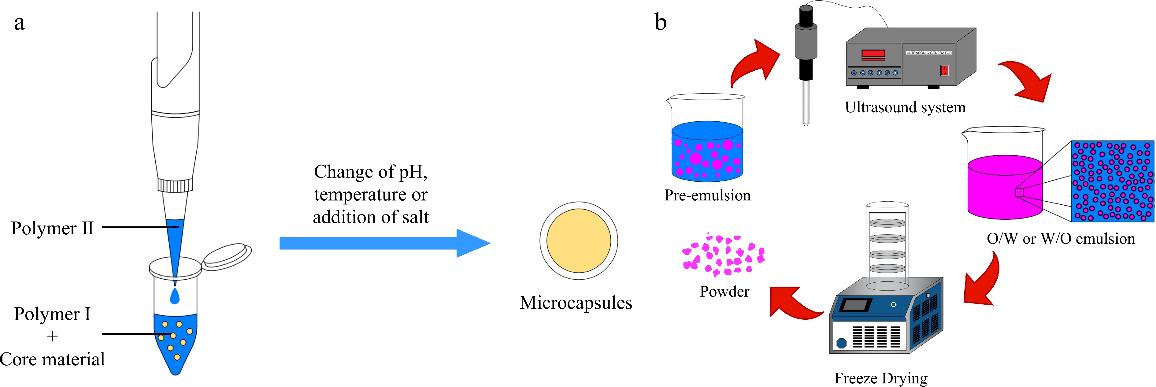 Microencapsulation to improve the stability of natural pigments and ...
