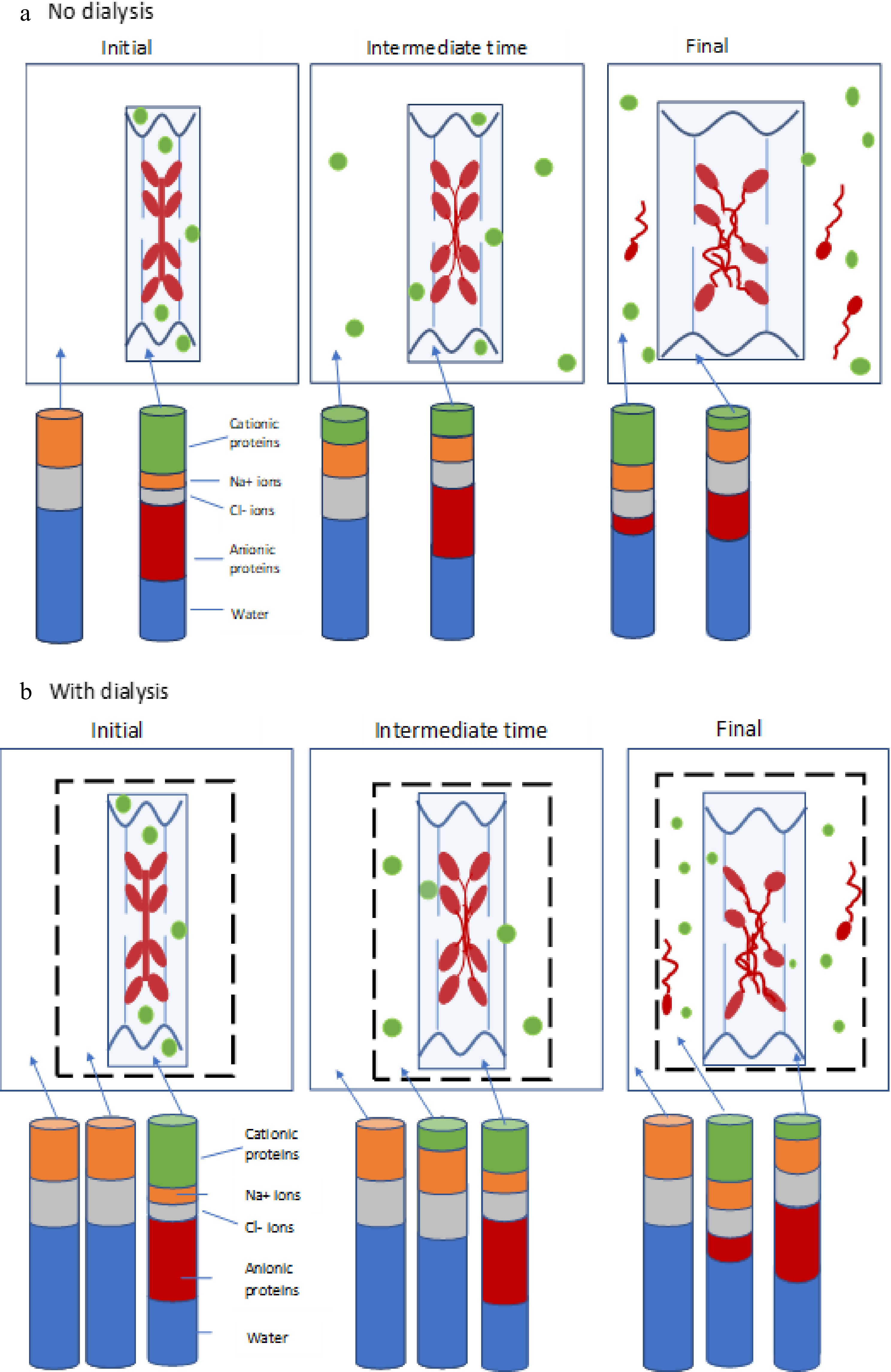 The extraction of soluble proteins aids salt swelling of pork meat