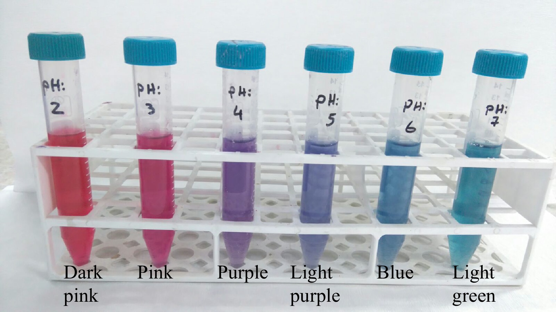 An aqueous-two phase extraction system for partitioning of anthocyanins ...