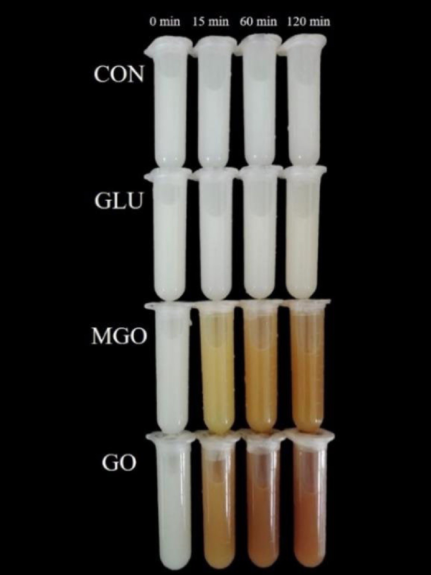 Influence of gastrointestinal digests of glycated whey protein on the ...