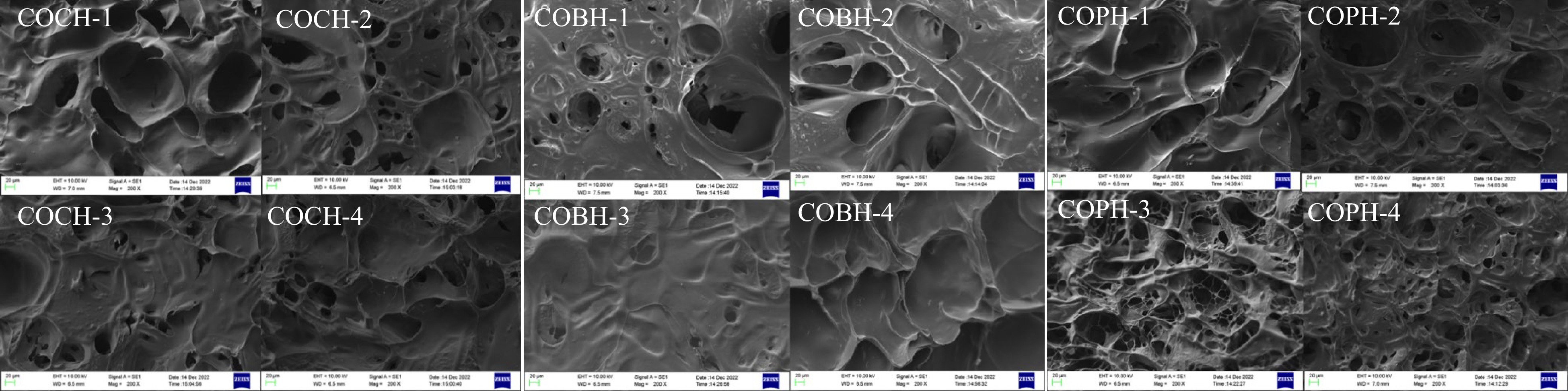 Preparation, structure and antimicrobial properties of modified gelatin ...