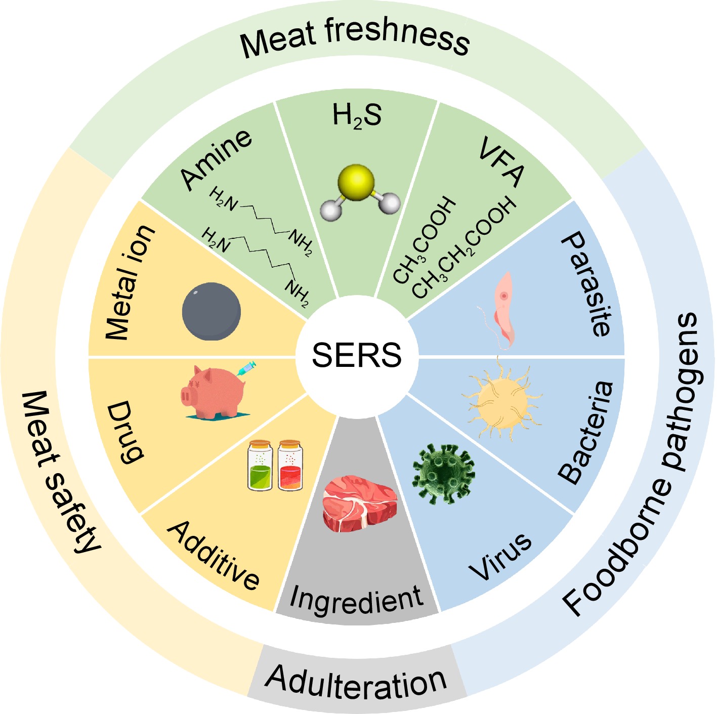 Recent advances on surface enhanced Raman spectroscopy in safety ...
