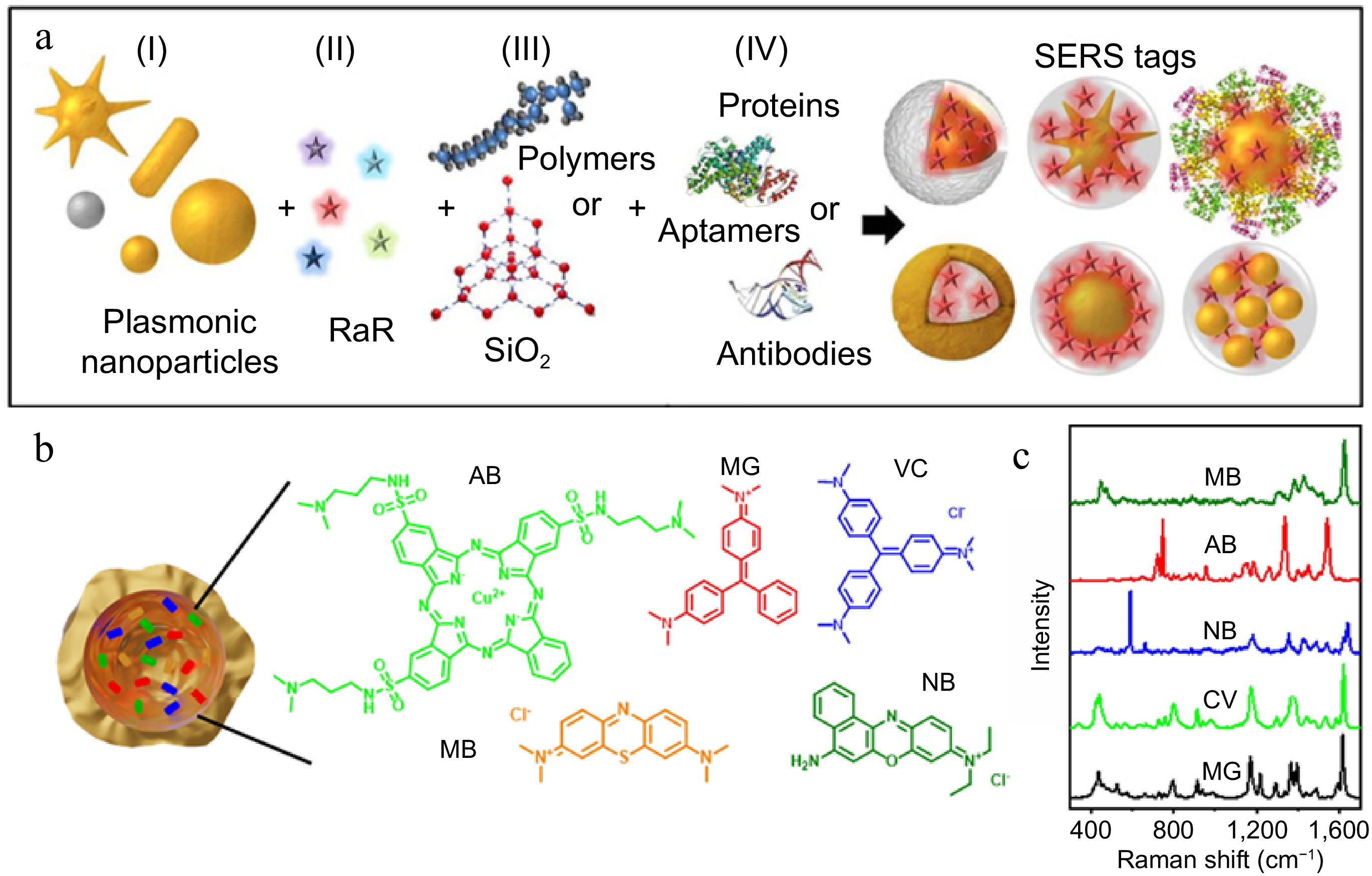 Recent advances on surface enhanced Raman spectroscopy in safety ...