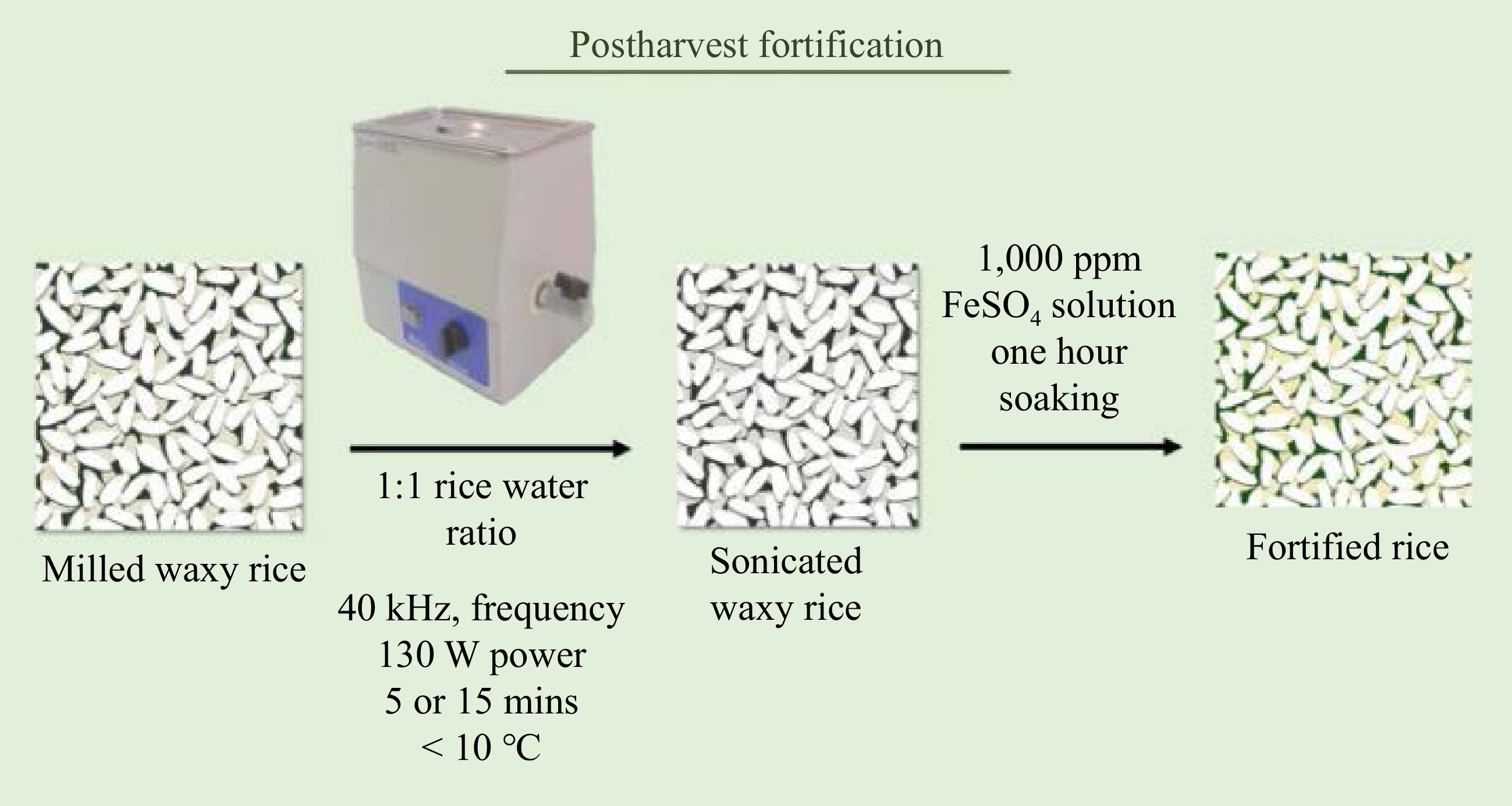 Incorporating iron fortificant in ultrasonicated waxy rice led to its ...