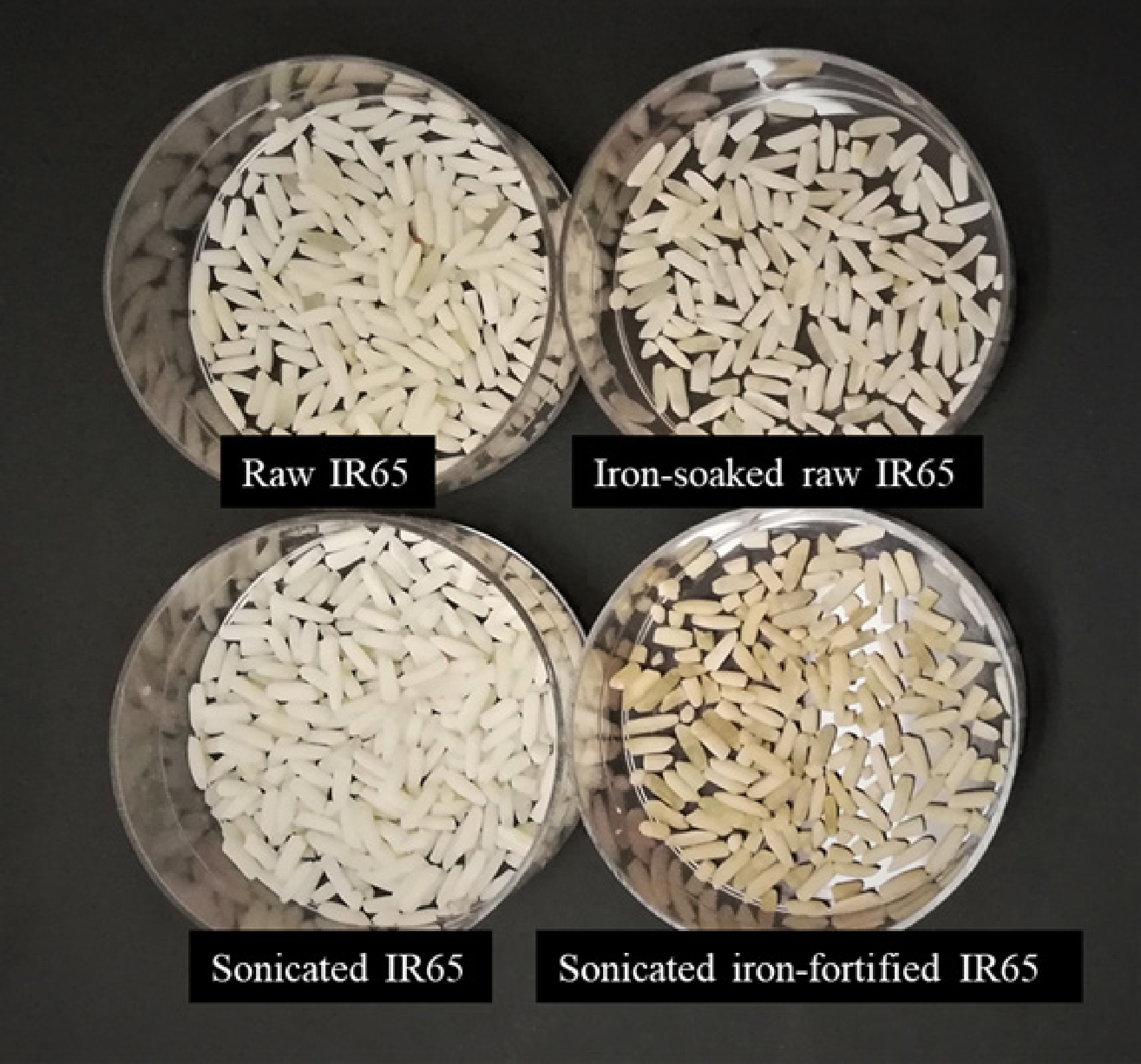 Incorporating iron fortificant in ultrasonicated waxy rice led to its ...