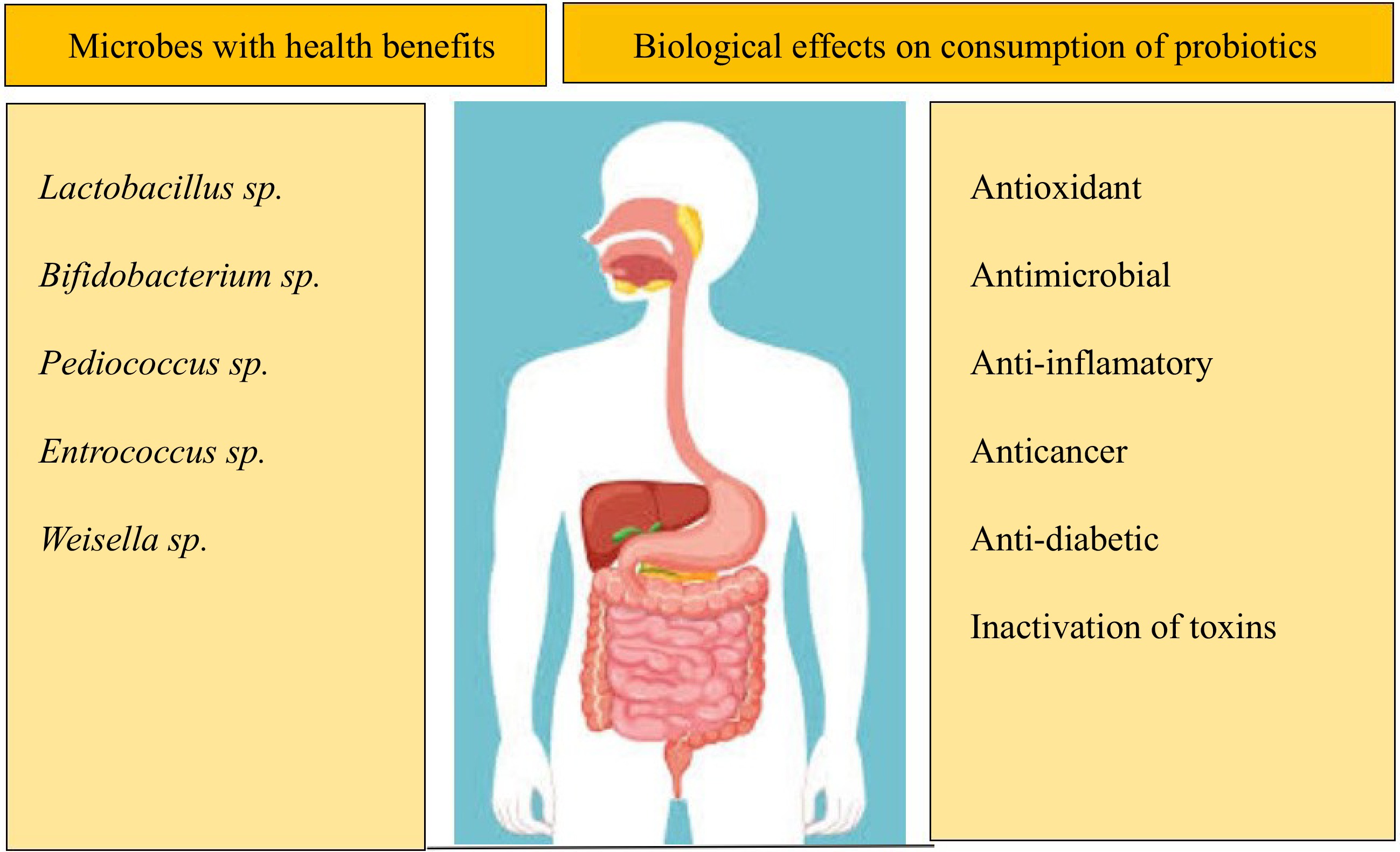 Probiotics microbes for human health and beyond