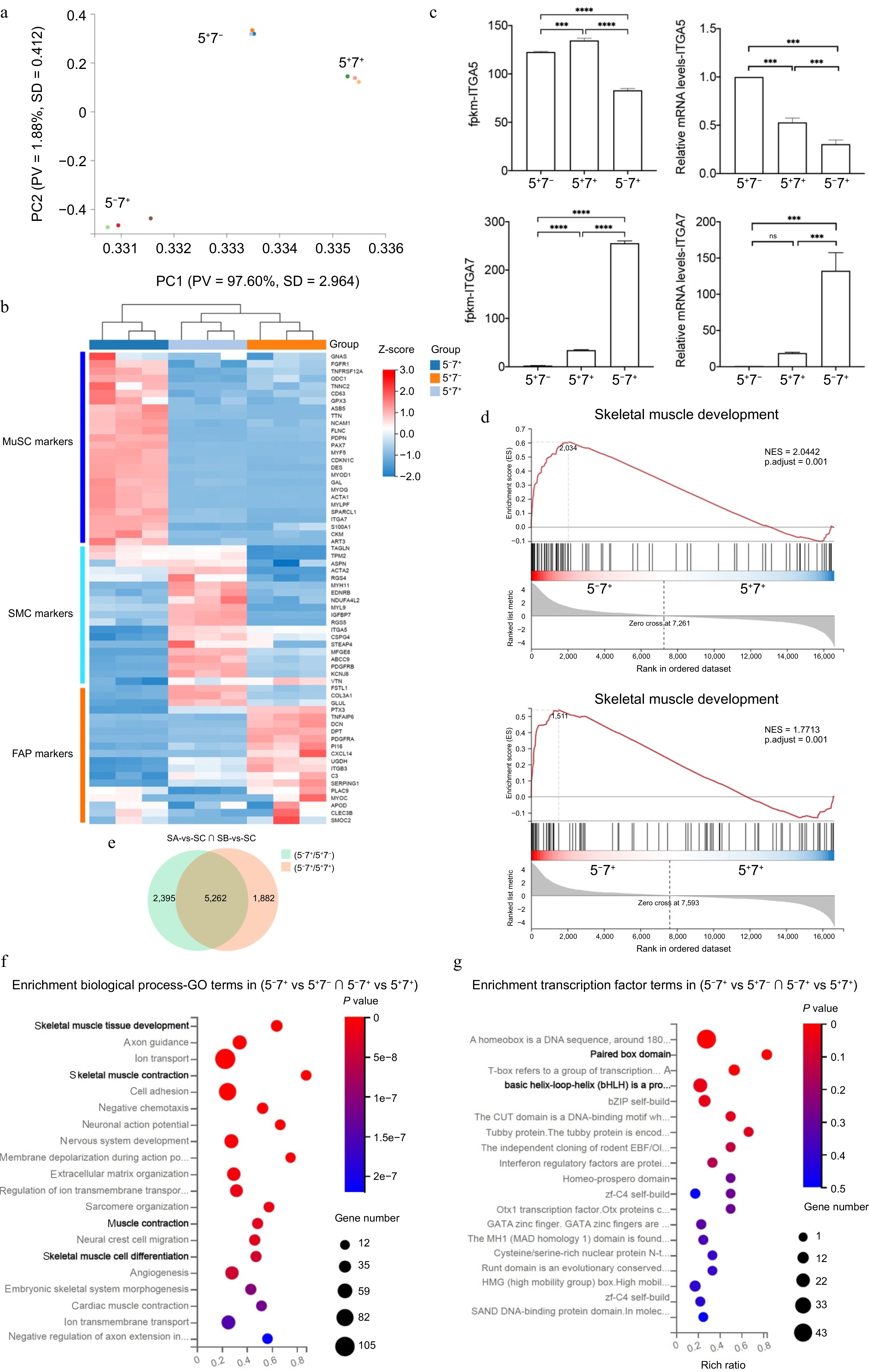 Isolation and purification of different high-purity cell populations ...