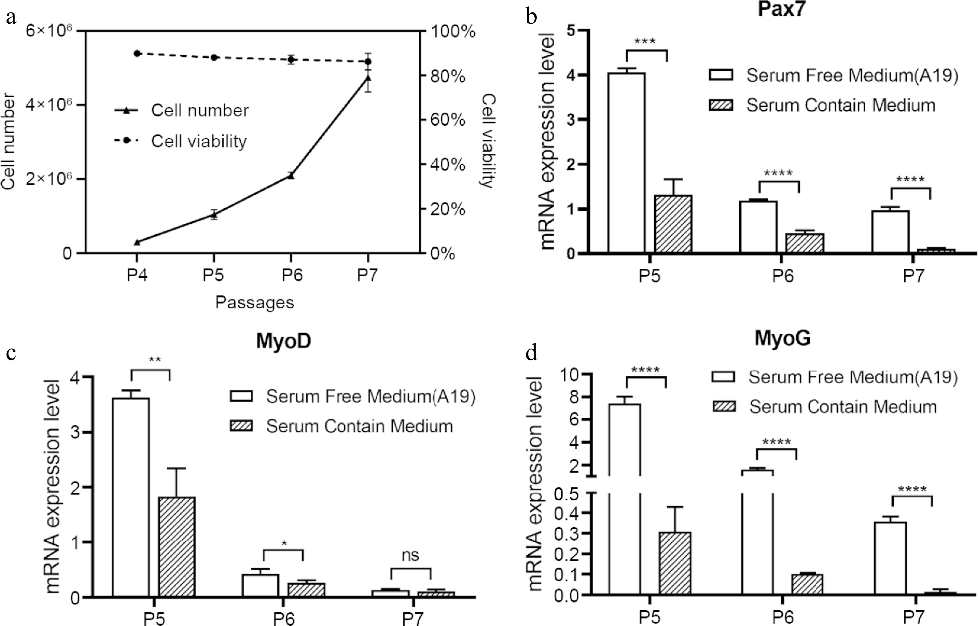 Serum-free long-term expansion and functional maintenance of pig ...