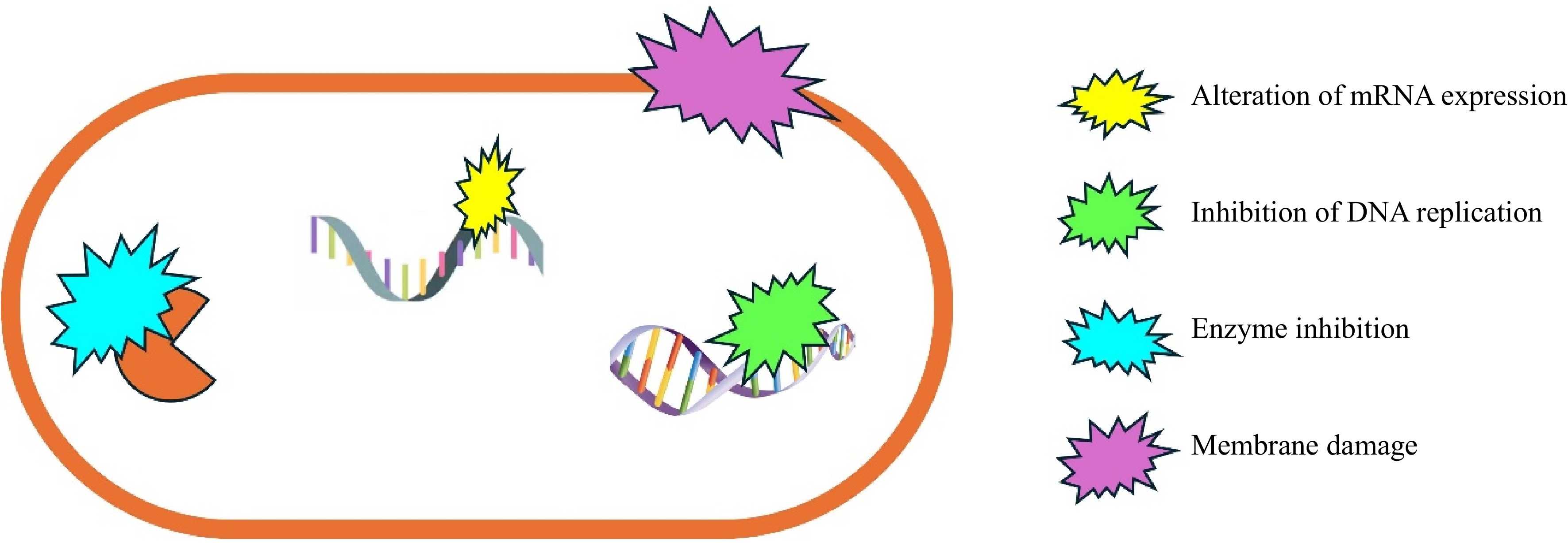 Antimicrobial packaging mechanisms, materials, incorporation methods ...