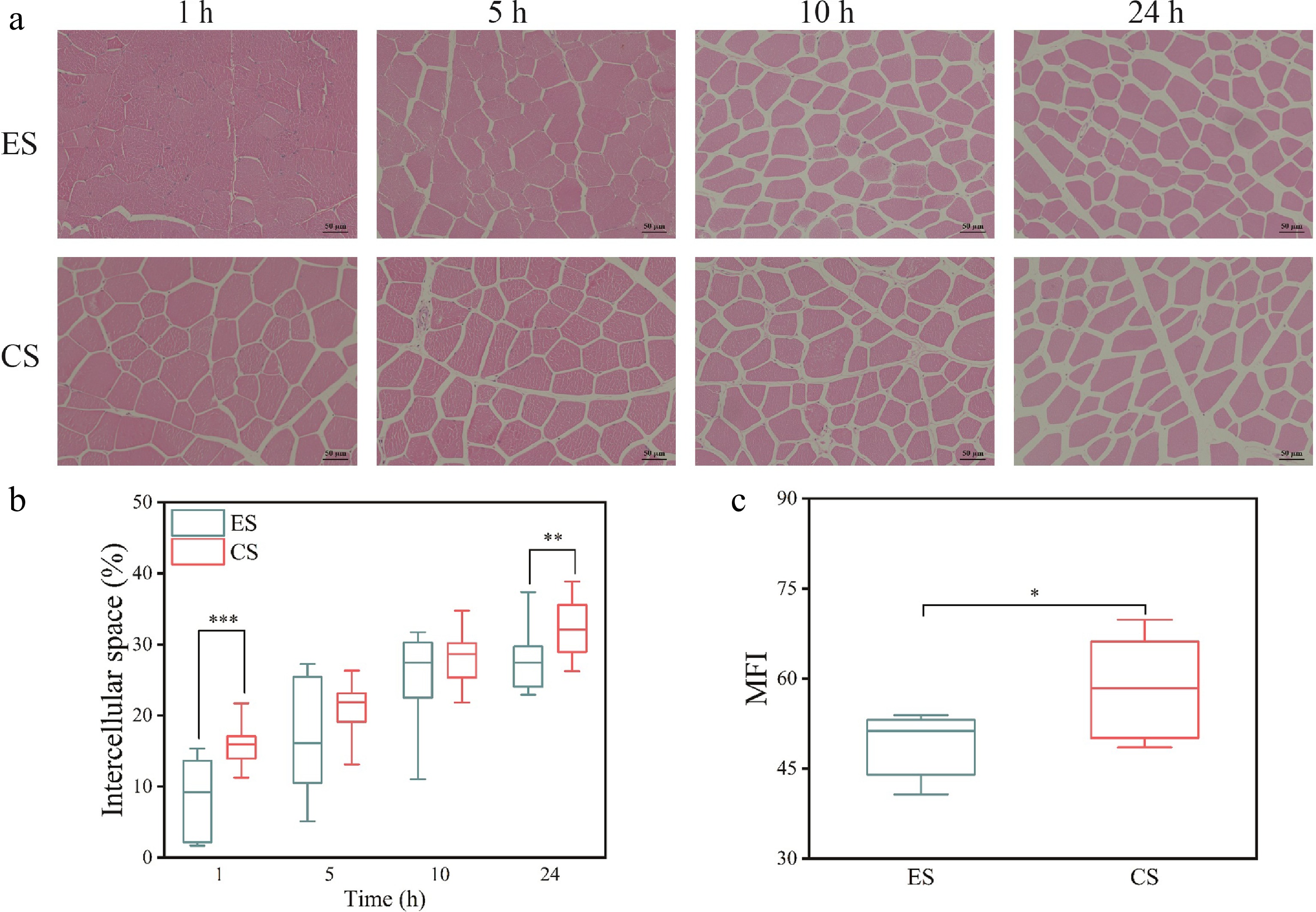 CO 2 stunning improved the meat quality by regulating postmortem muscle ...