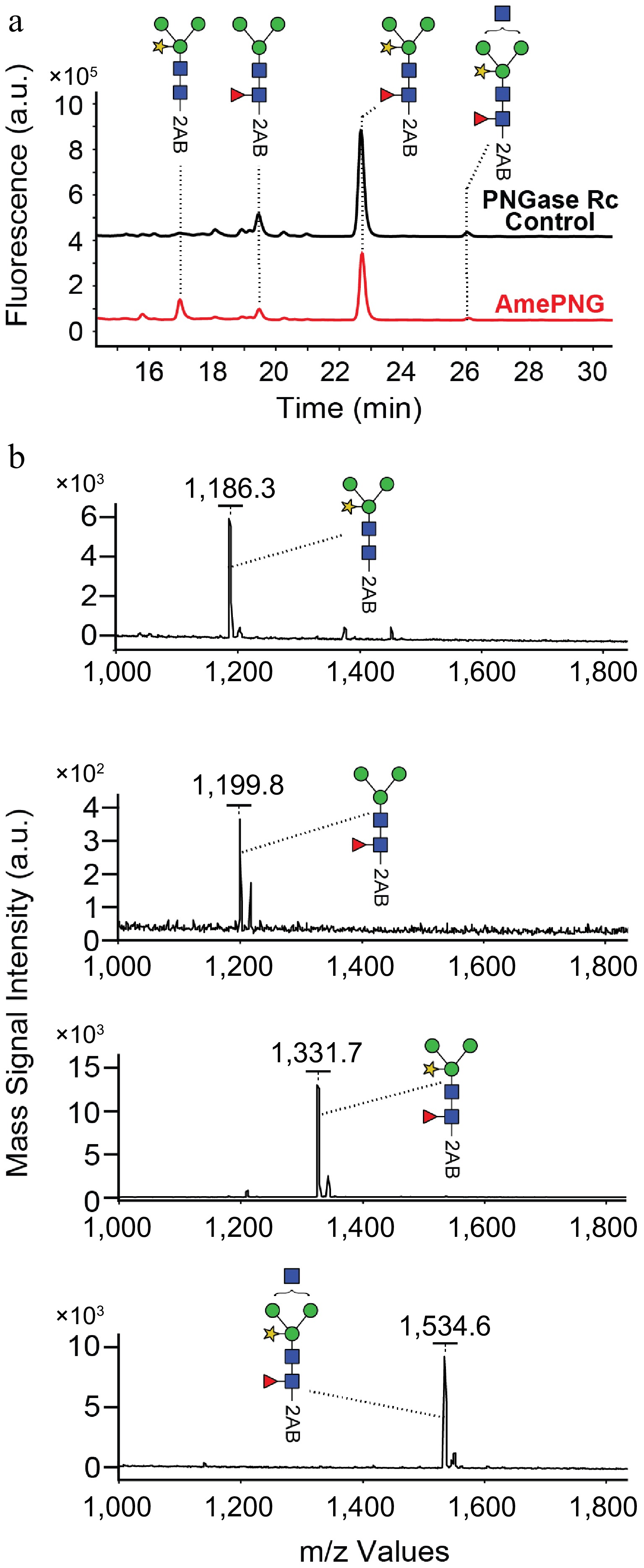 Novel PNGase H + from Amycolatopsis mediterranei biochemical properties ...