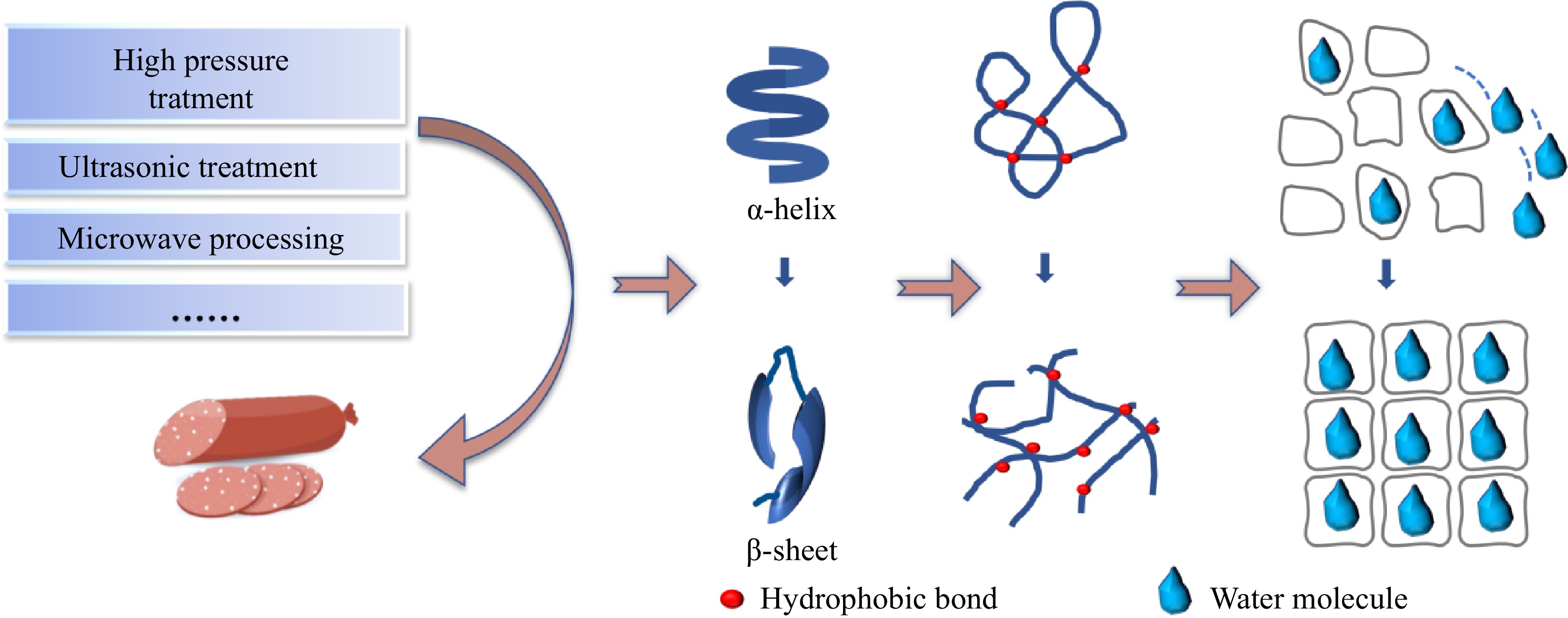 Research progress on gel properties of fermented sausage.
