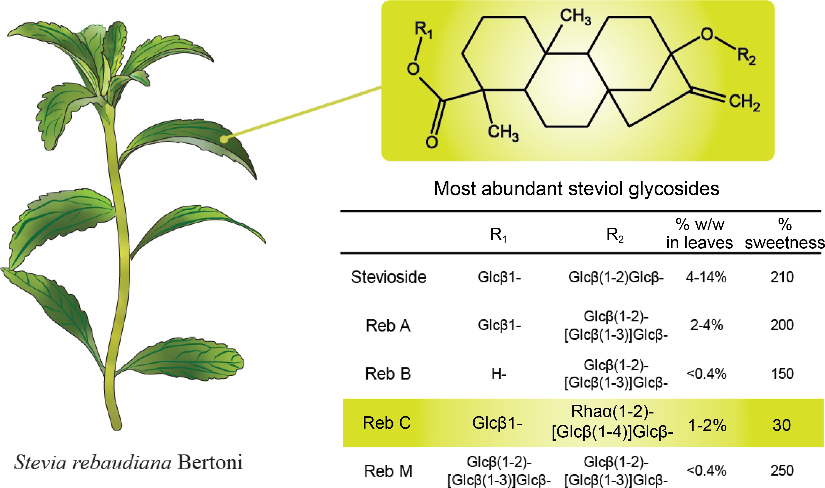 Biocatalytic β-glucosylation/ β-galactosylation of Rebaudioside C by ...