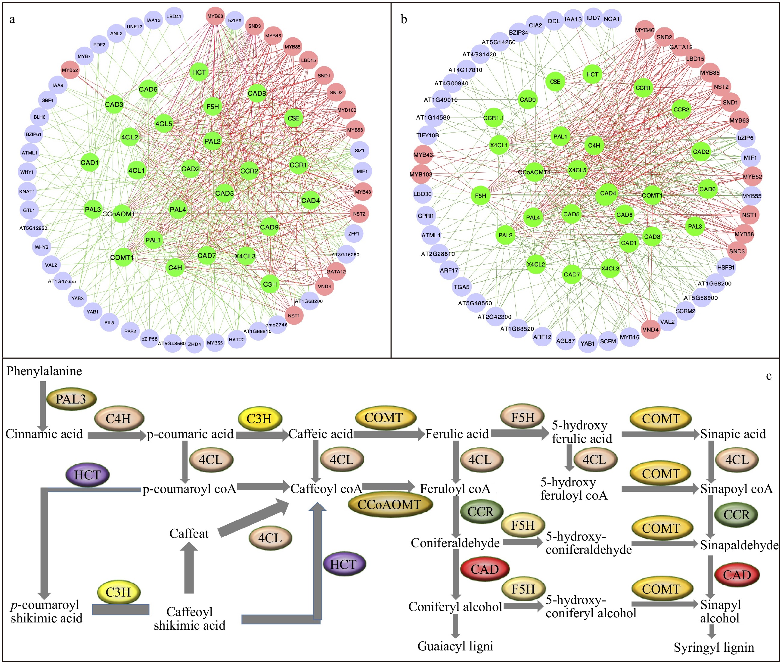 HB-PLS A statistical method for identifying biological process or ...