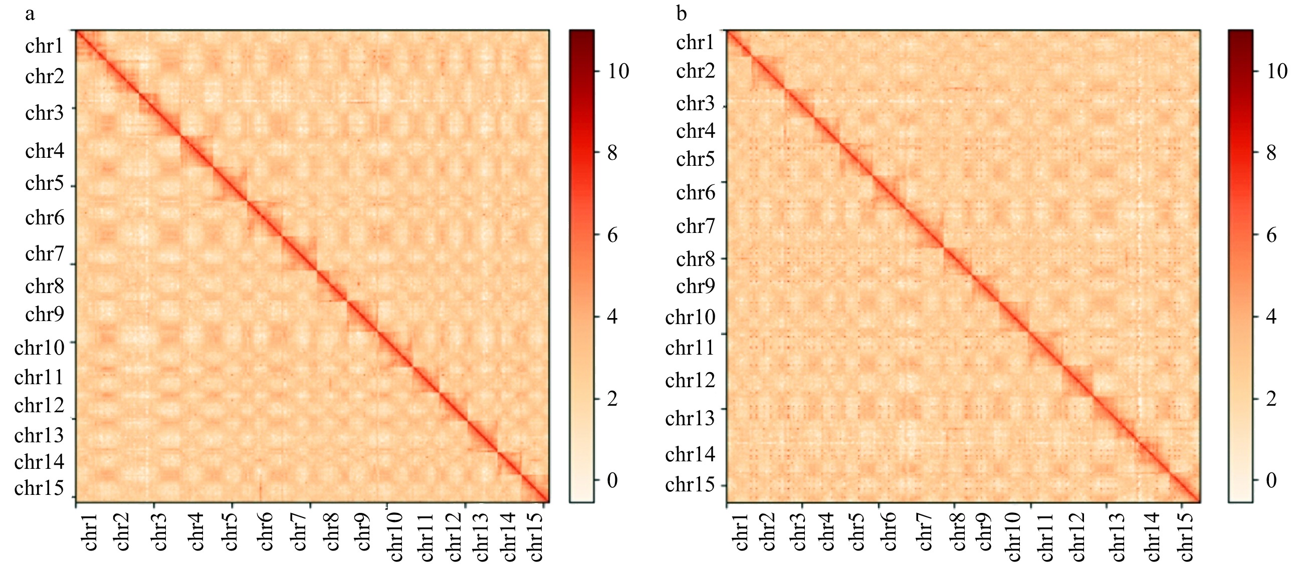 Interactions Among Chromosomes