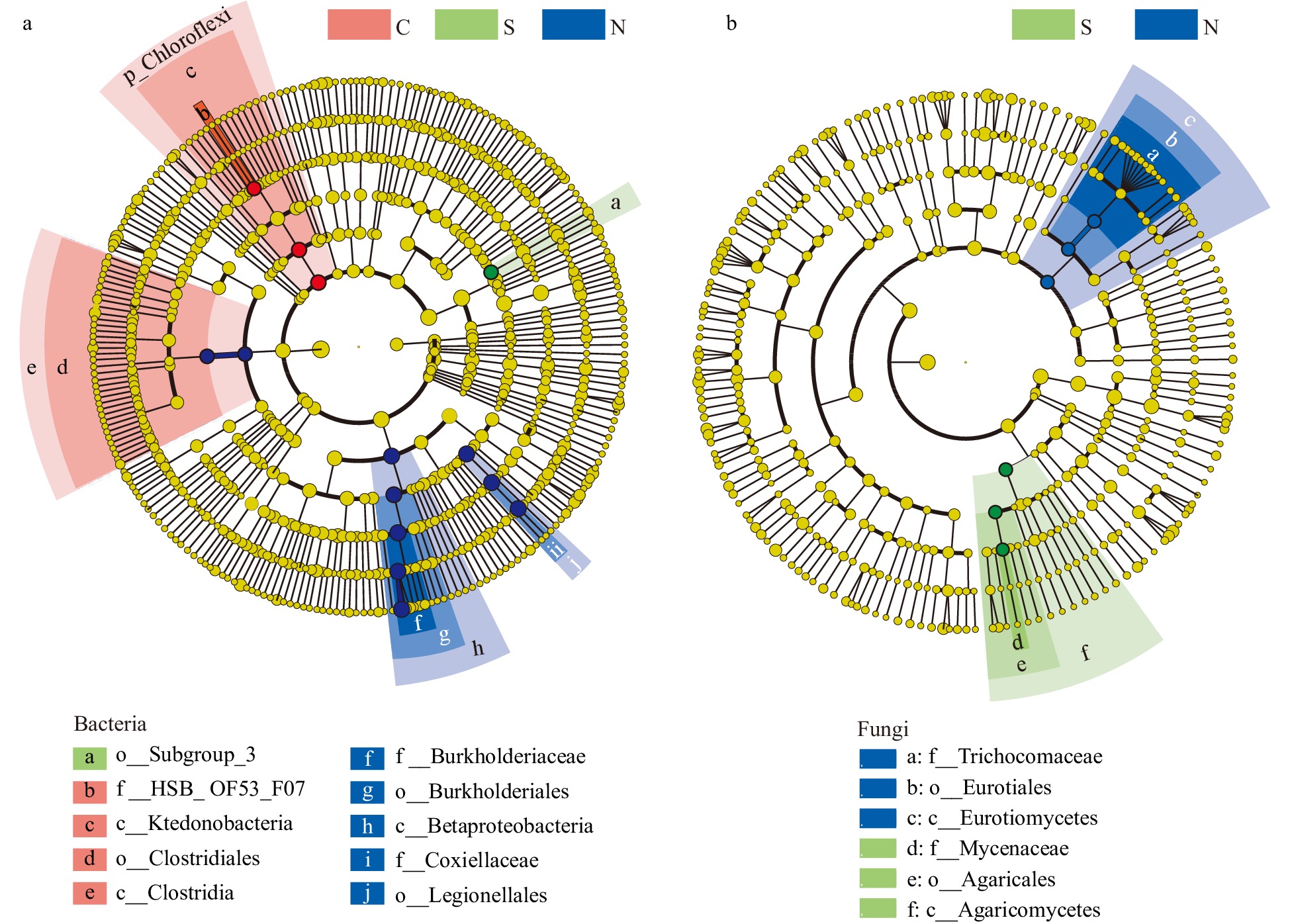 Case study of a rhizosphere microbiome assay on a bamboo rhizome with ...