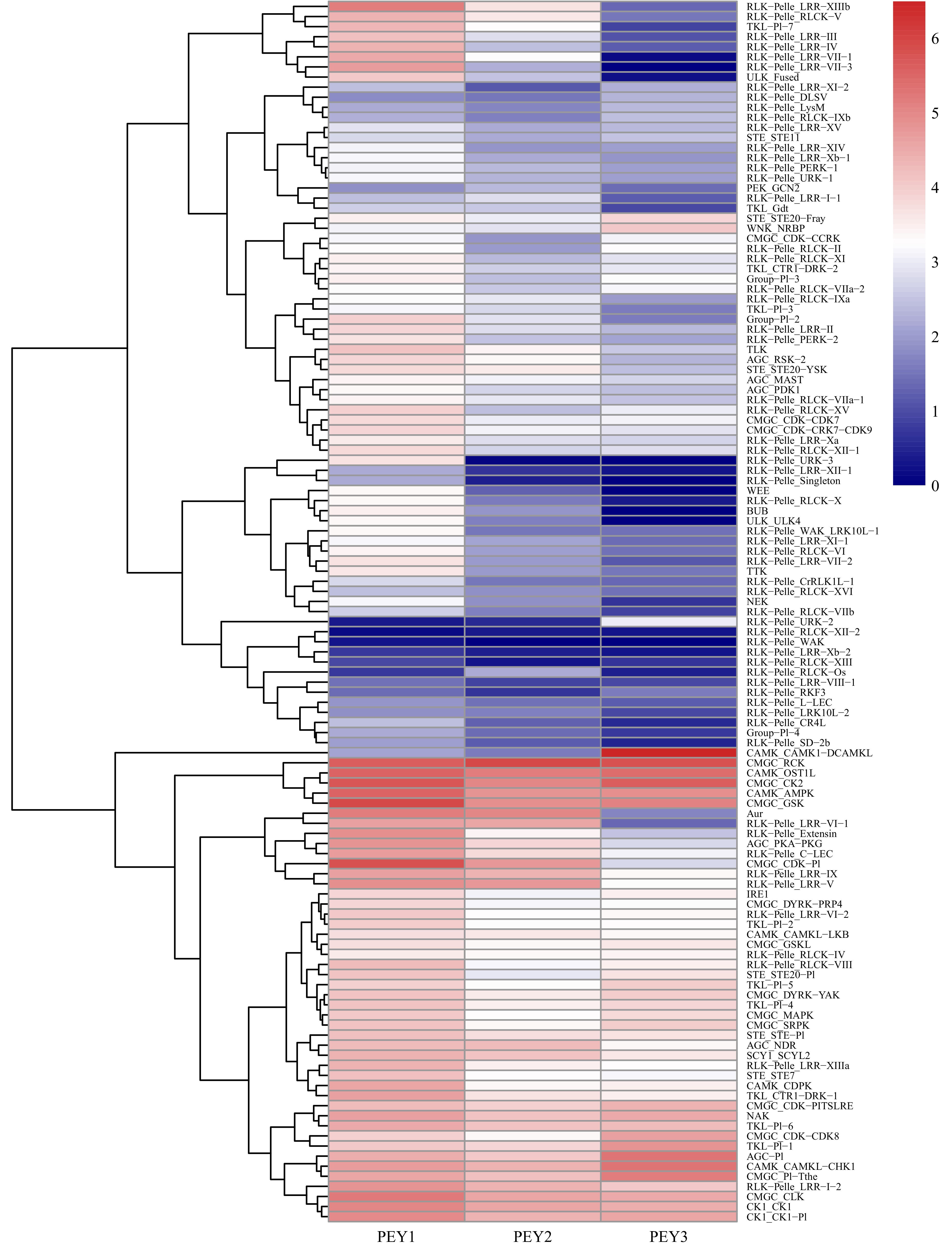 Pecan kinome classification and expression analysis of all protein ...