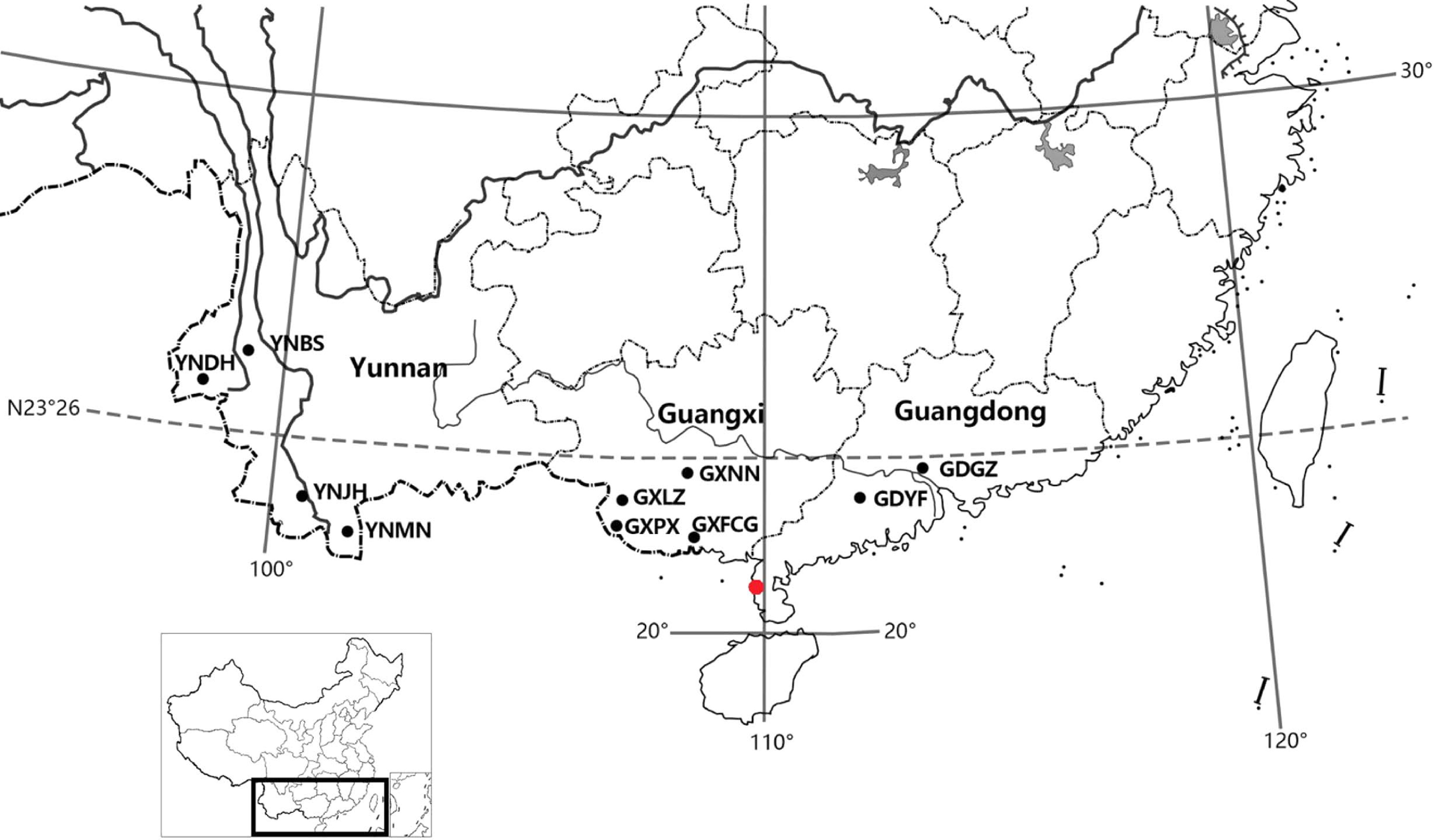 Geographic variation in growth and wood traits of Neolamarckia cadamba ...