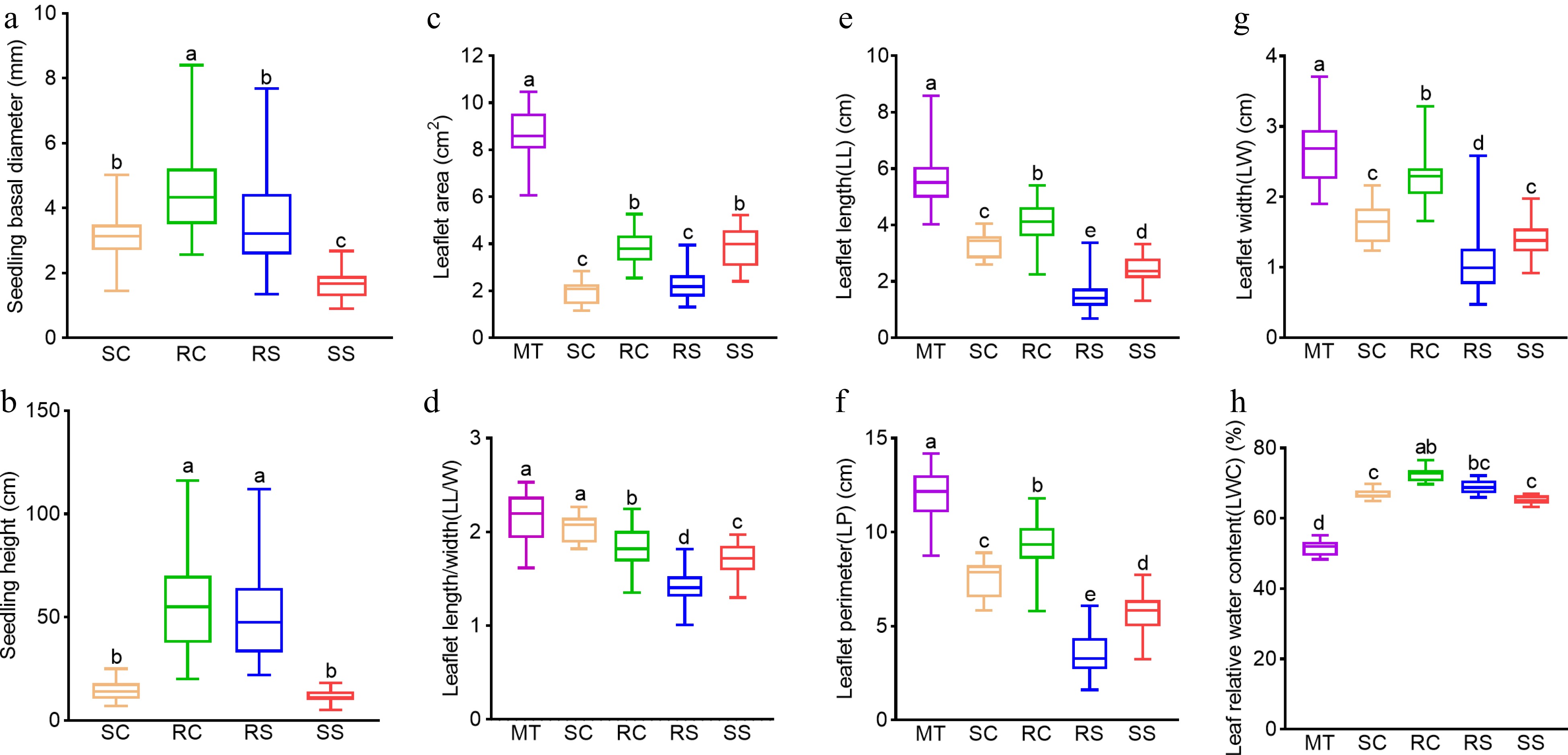Effects of the vegetative propagation method on juvenility in Robinia pseudoacacia L