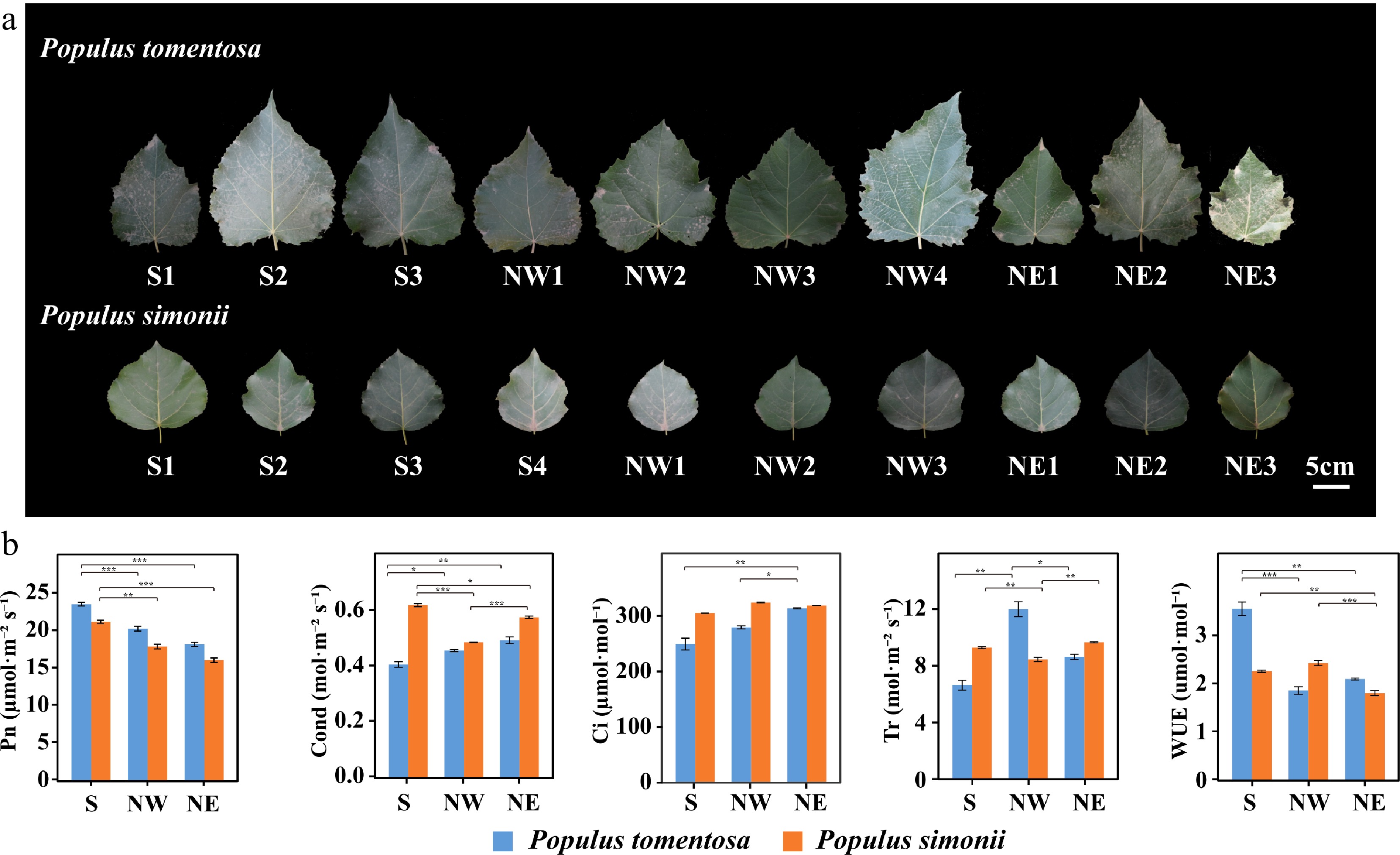 LncRNA evolution and DNA methylation variation participate in ...