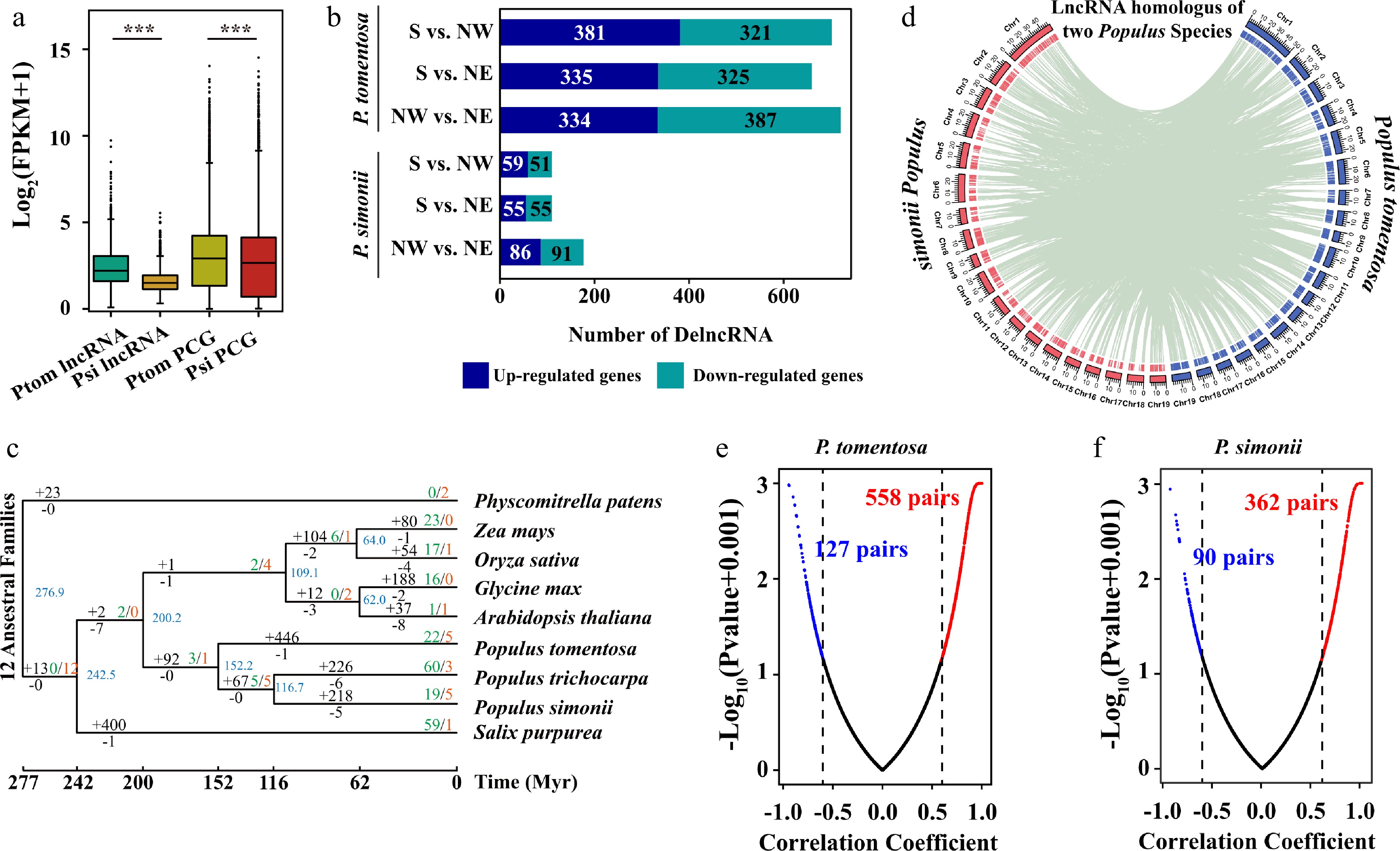 LncRNA evolution and DNA methylation variation participate in ...