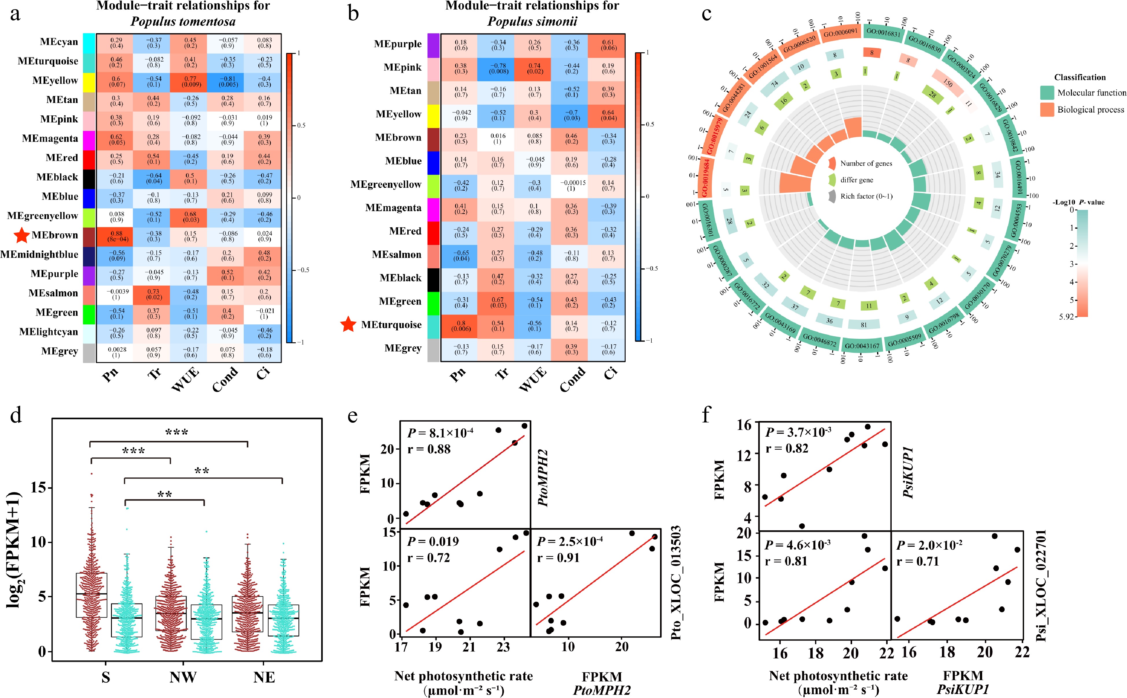 LncRNA evolution and DNA methylation variation participate in ...