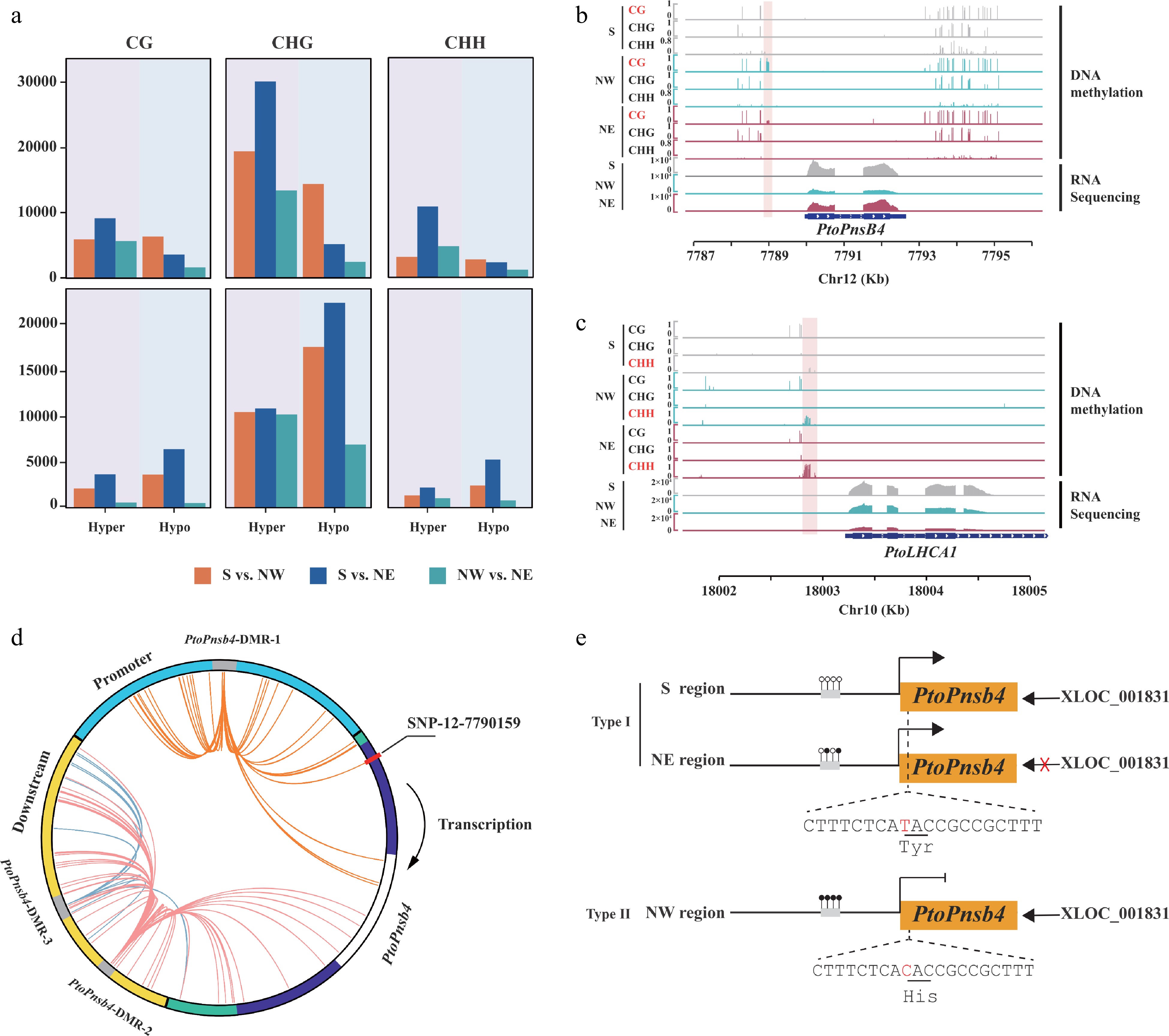 LncRNA evolution and DNA methylation variation participate in ...