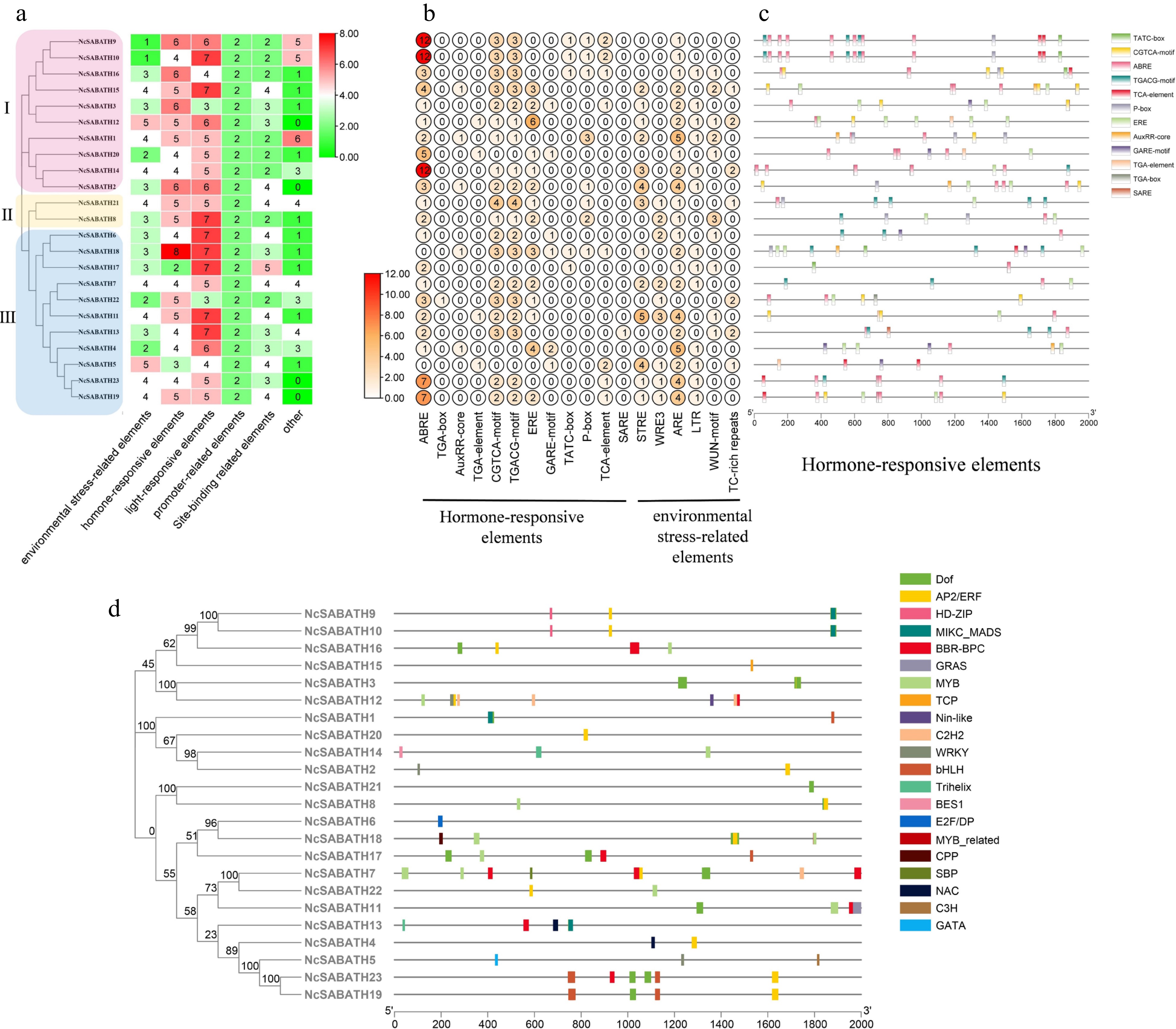 Genome-wide identification and expression pattern analysis of the ...