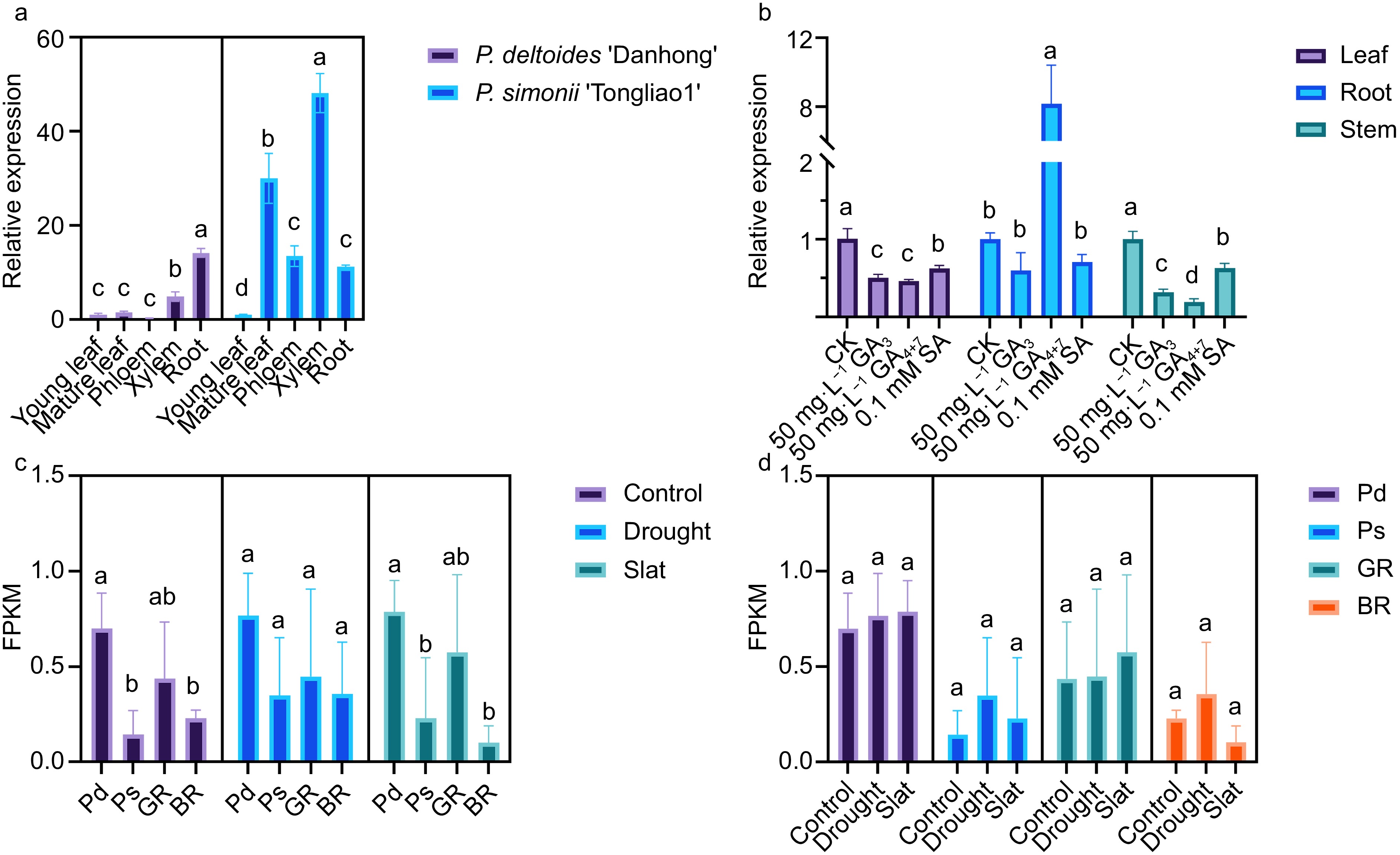 PsPRE1 is a basic helix-loop-helix transcription factor that confers ...