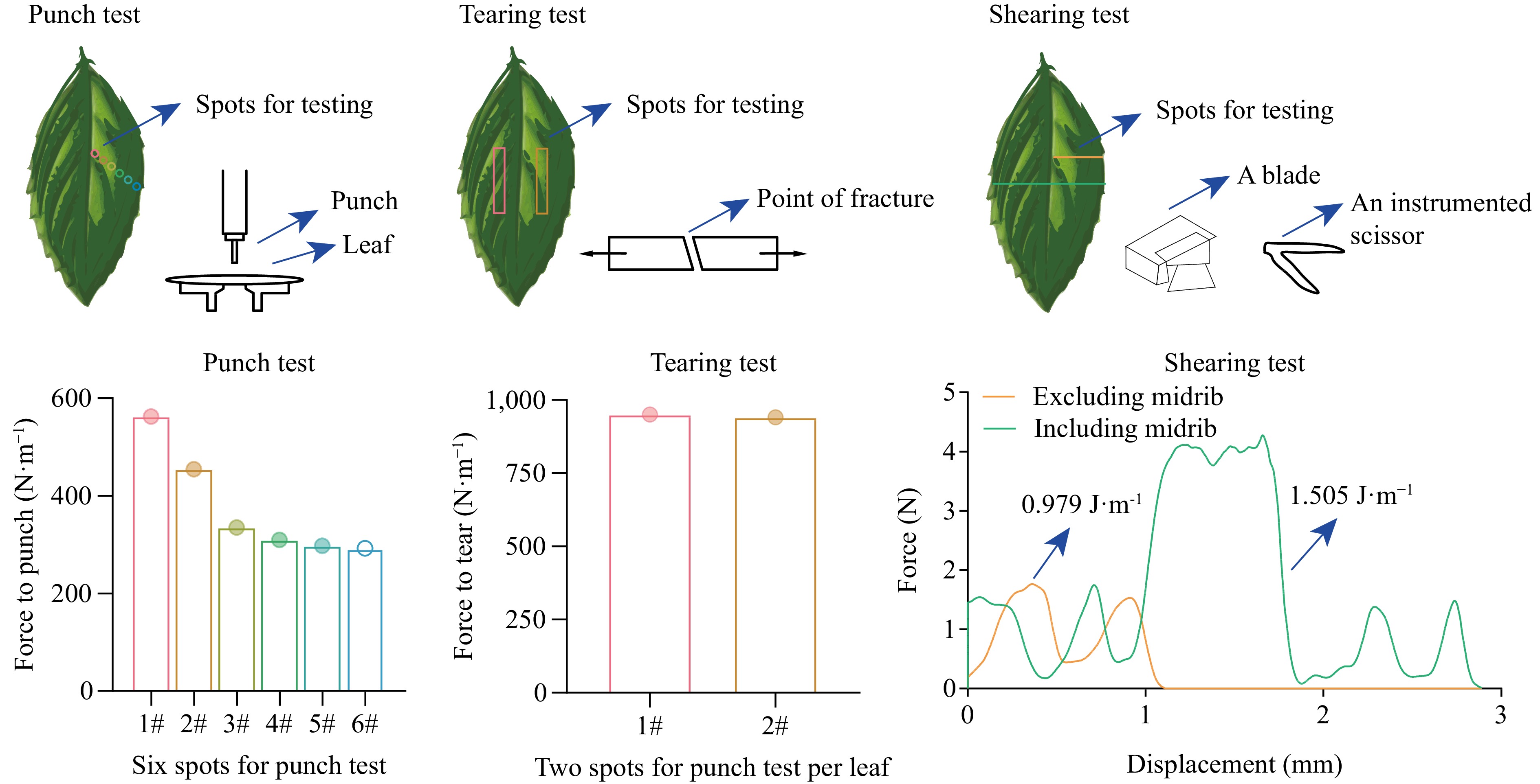 Leaf mechanical properties as potential predictors of leaf-litter ...